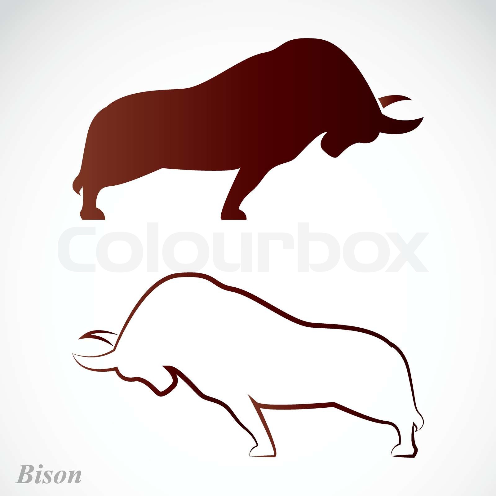 Vector image of an bison | Stock vector | Colourbox