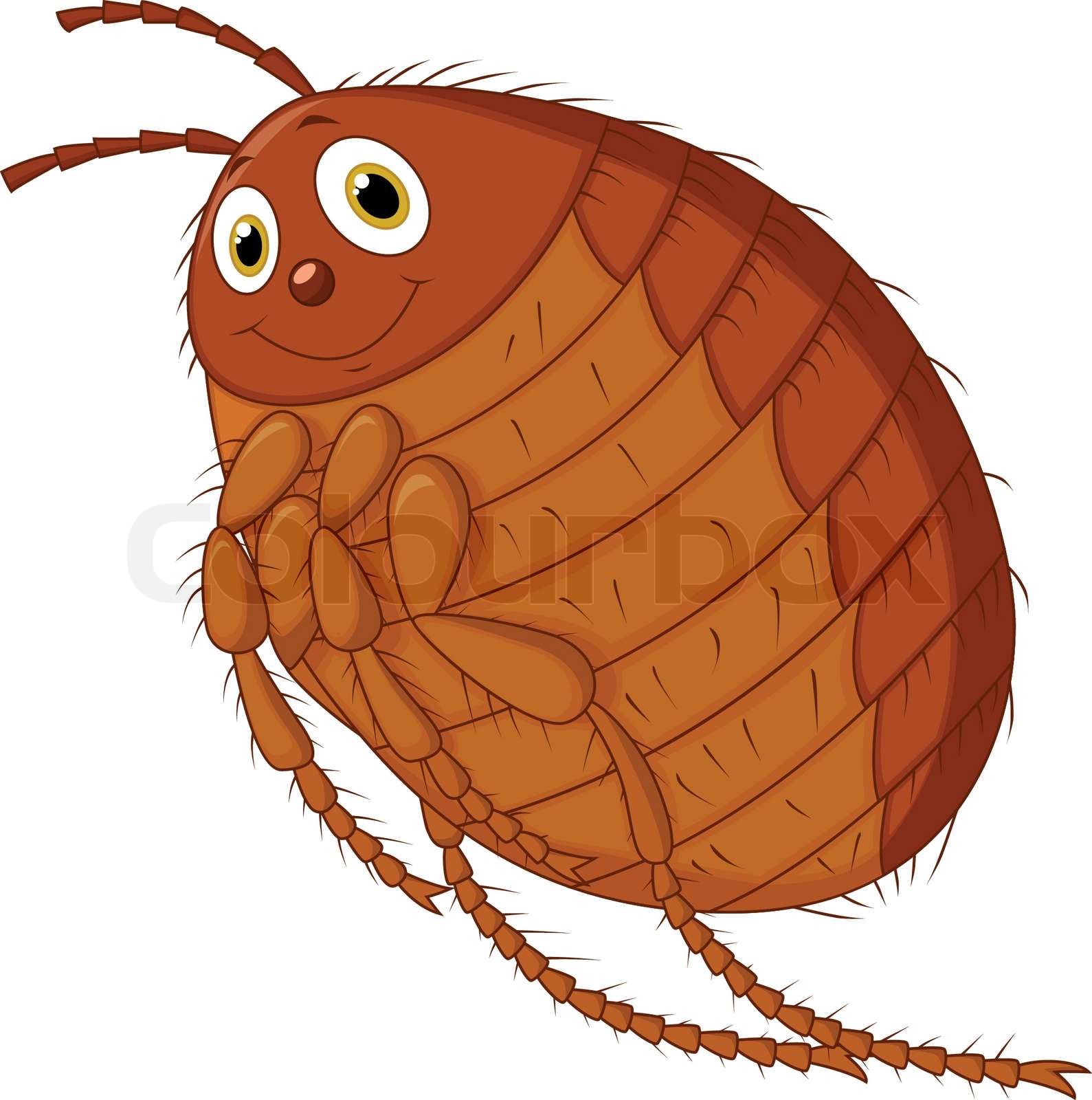 Flea Jumping Clipart