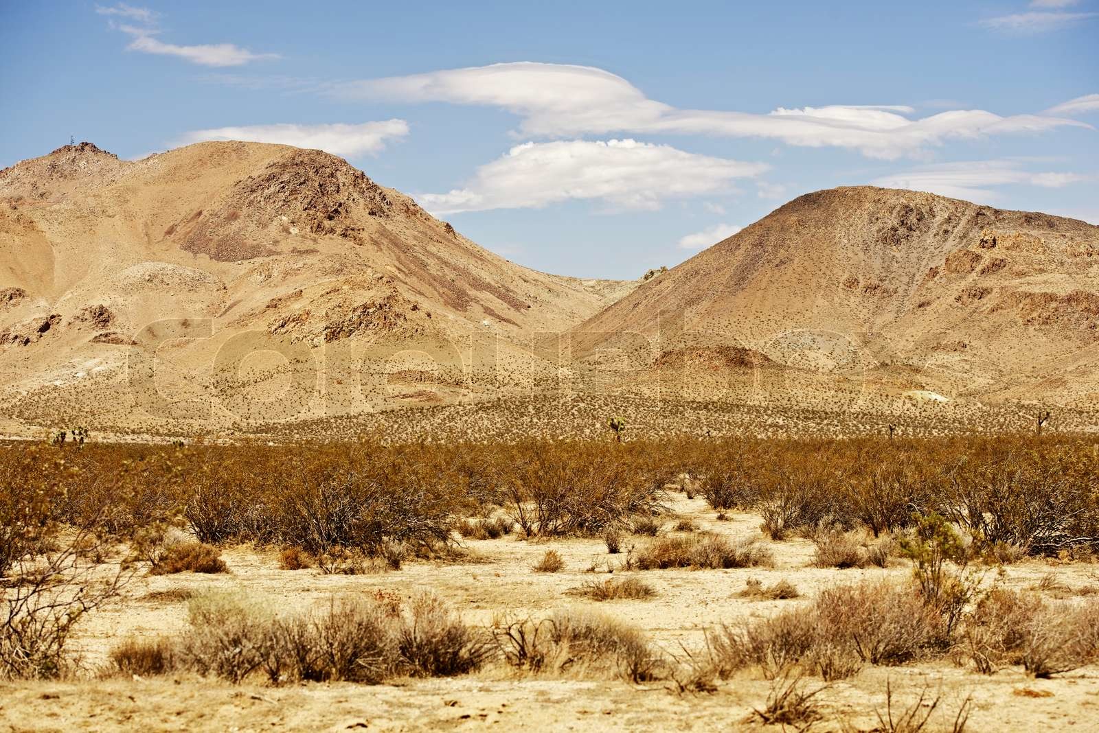 Raw Mojave Desert Landscape - Mojave Desert California, USA Dry and Hot ...