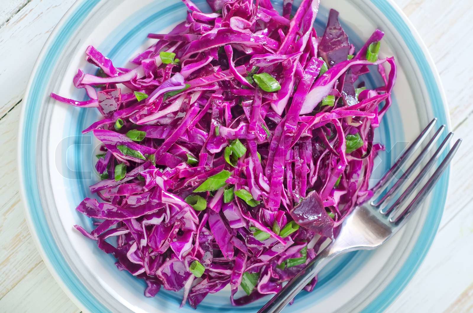 blue cabbage | Stock image | Colourbox