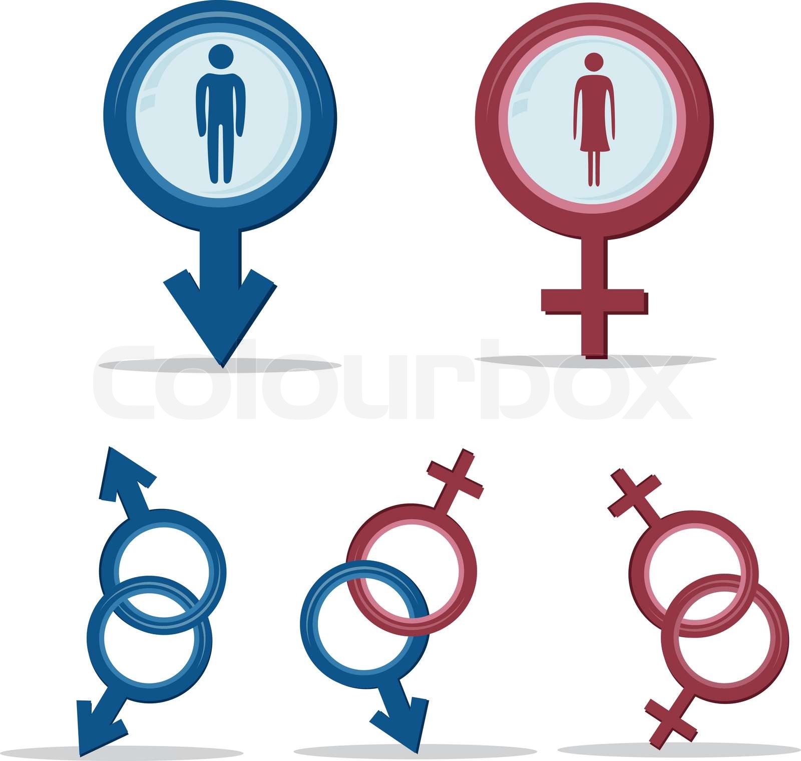 Männer und Frauen sign icons | Stock-Vektor | Colourbox