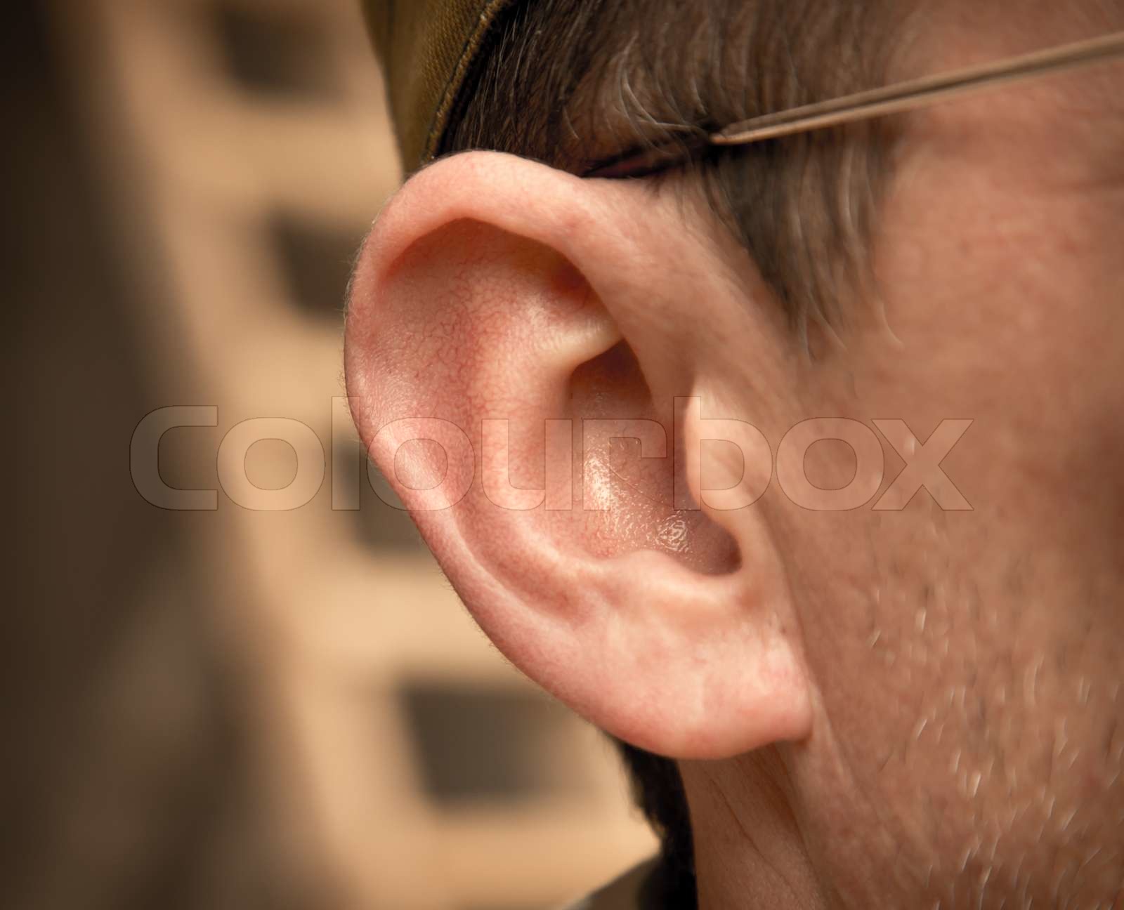 male ear macro | Stock image | Colourbox