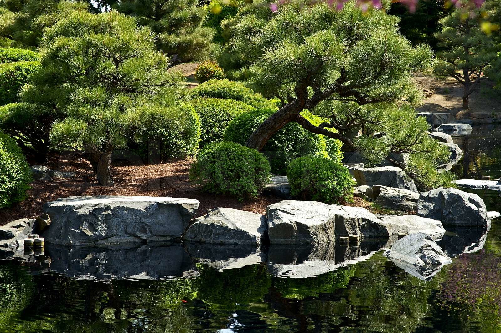 Japanese Rock Garden With Pond