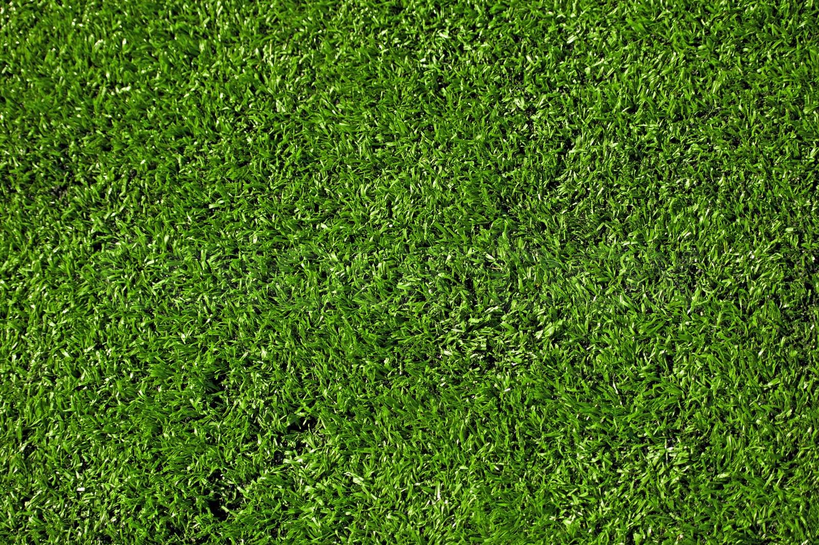 Hi-Res Grass Texture | Stock image | Colourbox