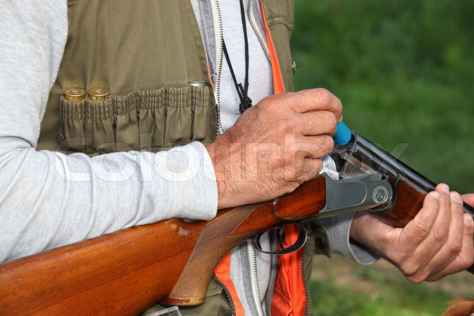 Hunter loading shotgun | Stock image | Colourbox