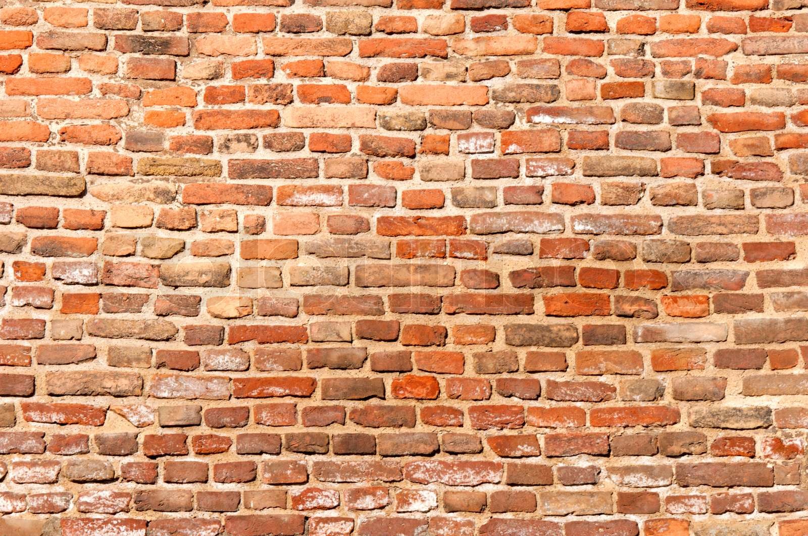 Ziegel-Wand | Stock Bild | Colourbox