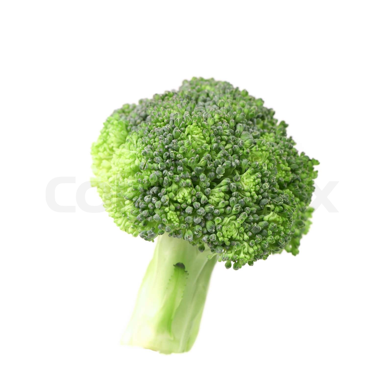 Frischer Brokkoli Nahaufnahme | Stock Bild | Colourbox