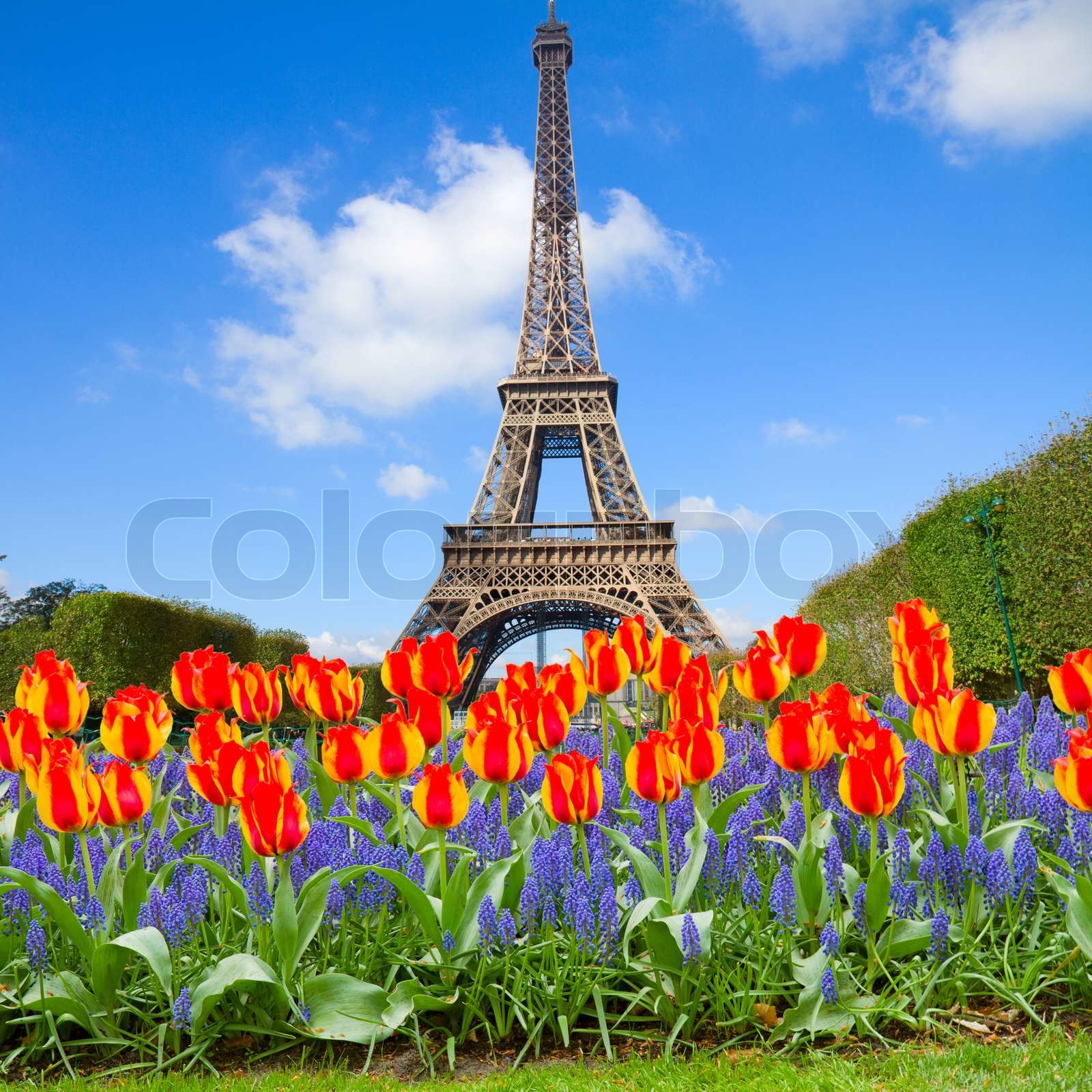 eiffelTower in sunny spring day in Paris,France | Stock image | Colourbox