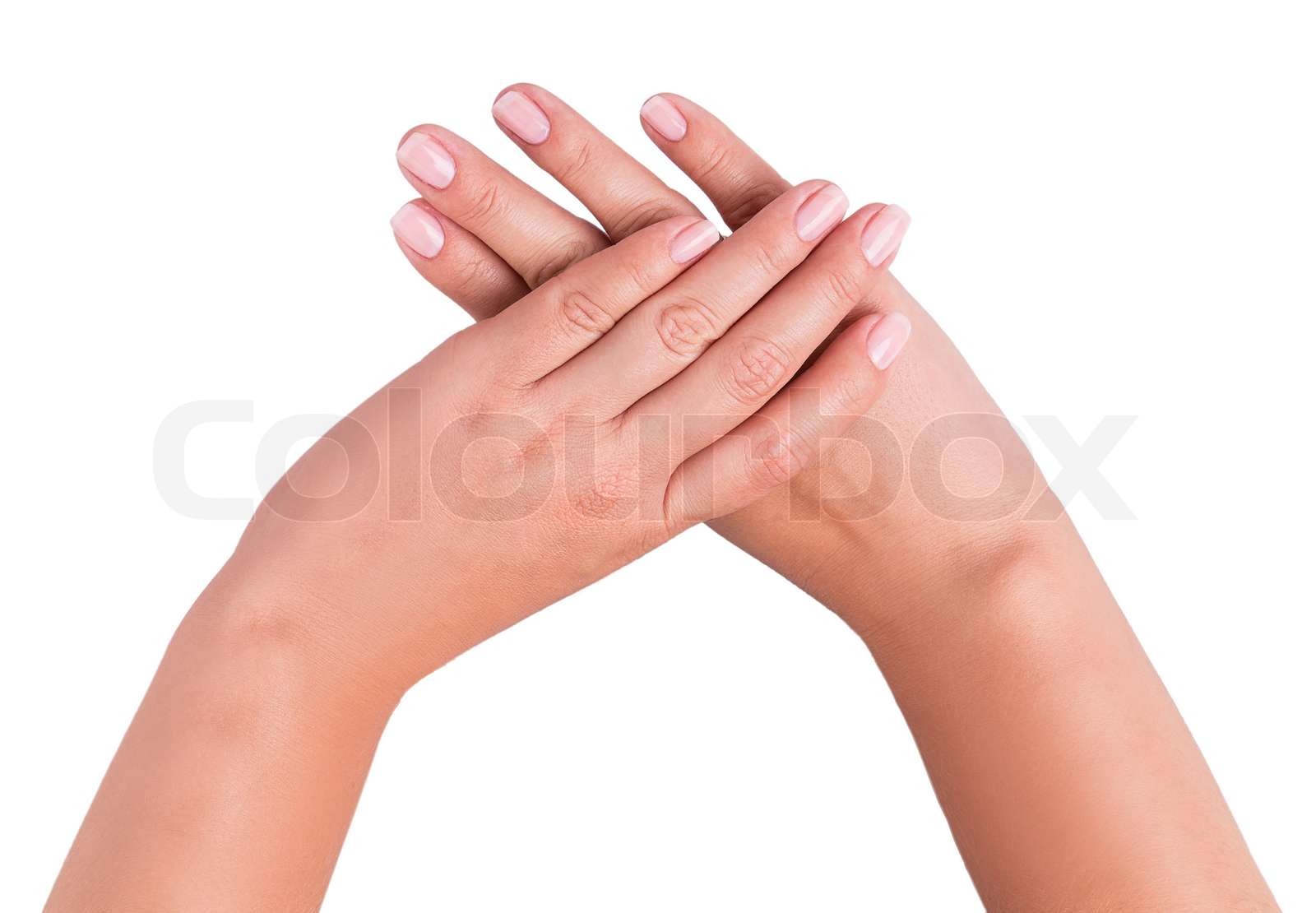 two hand | Stock image | Colourbox