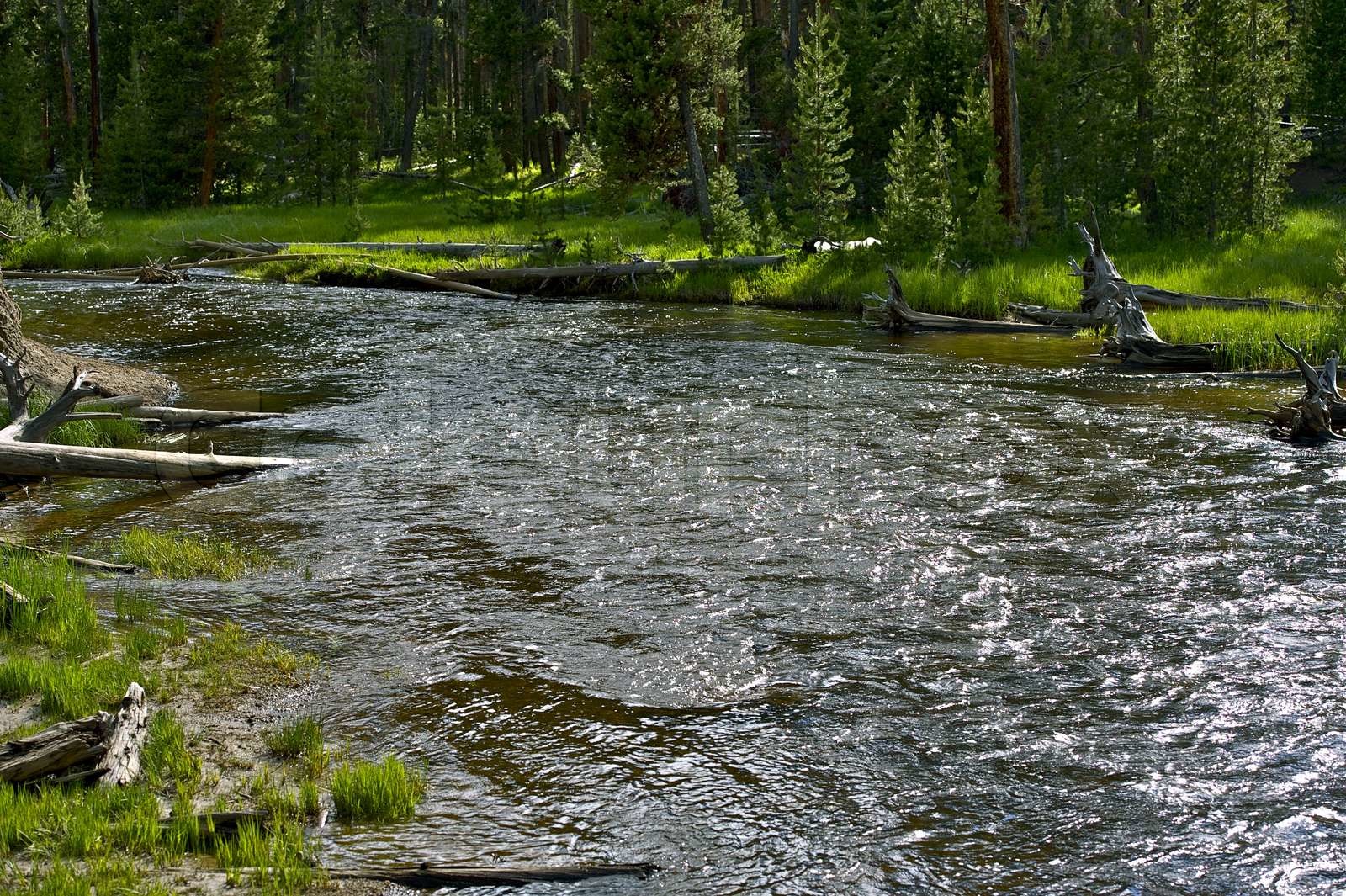 Forest River | Stock image | Colourbox