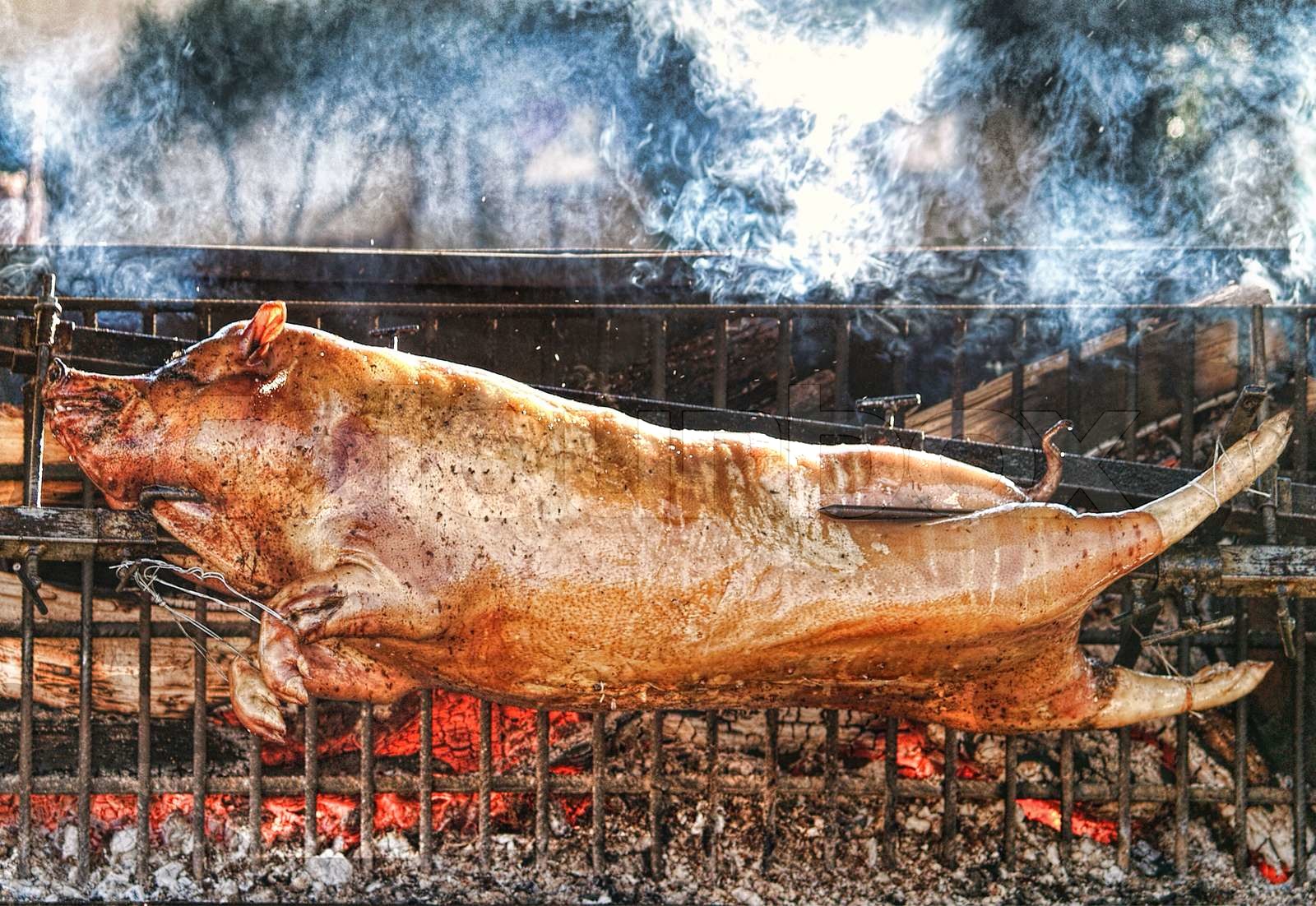 roasted pig | Stock image | Colourbox