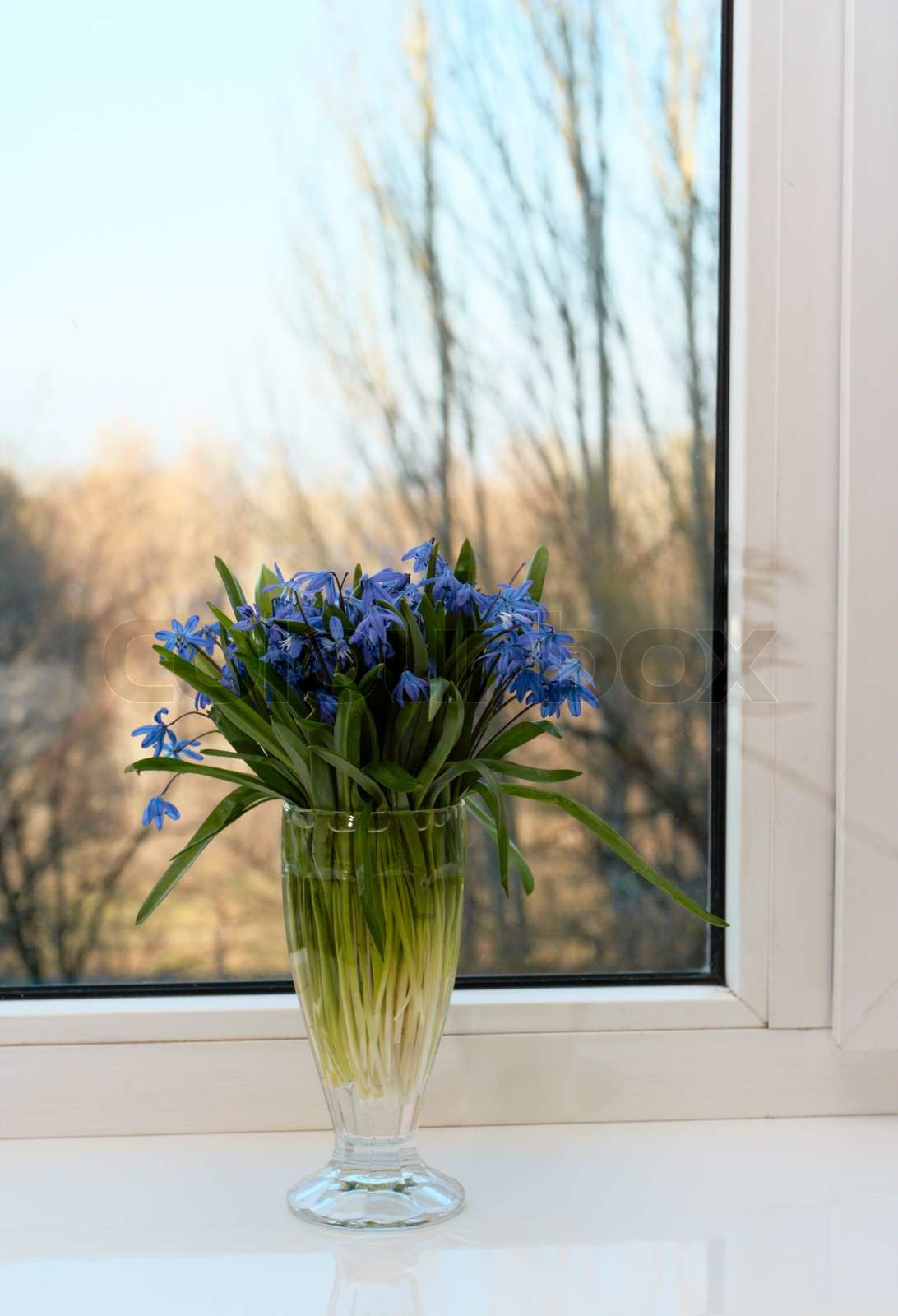 Blumentopfe Fur Fensterbank