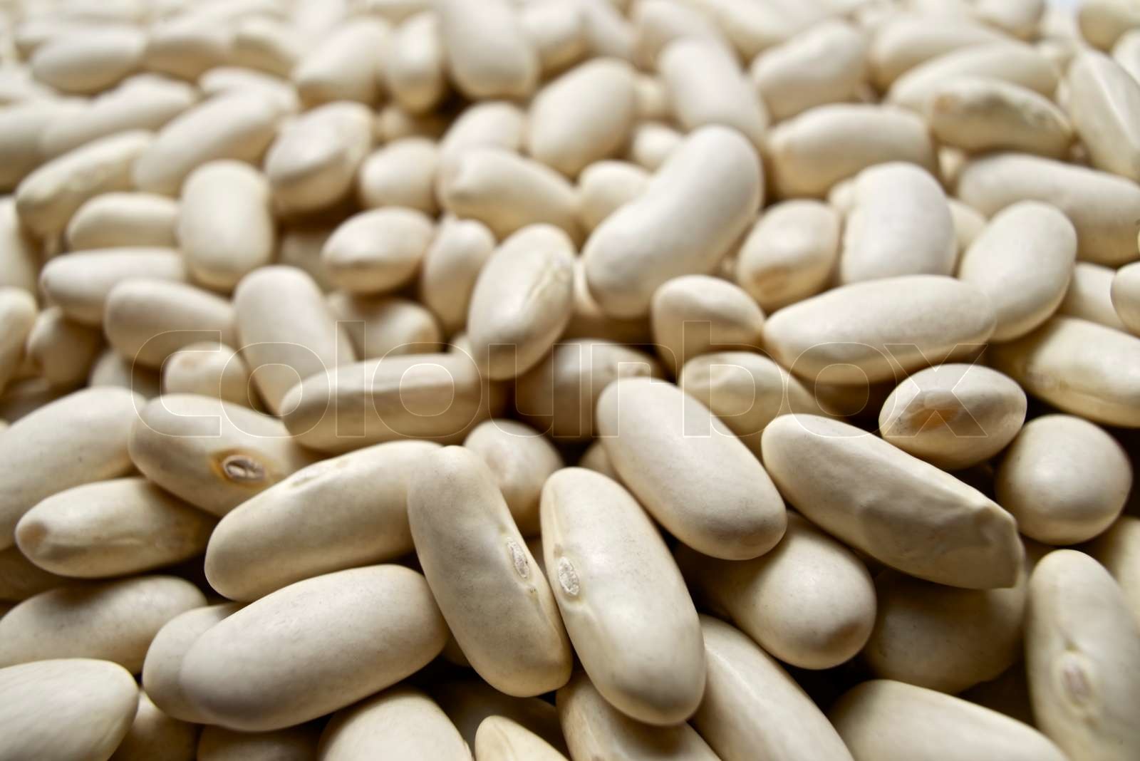 Haricot beans | Stock image | Colourbox