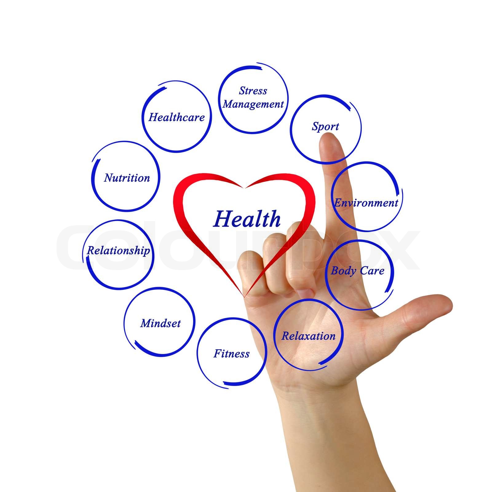 Diagram of health | Stock image | Colourbox