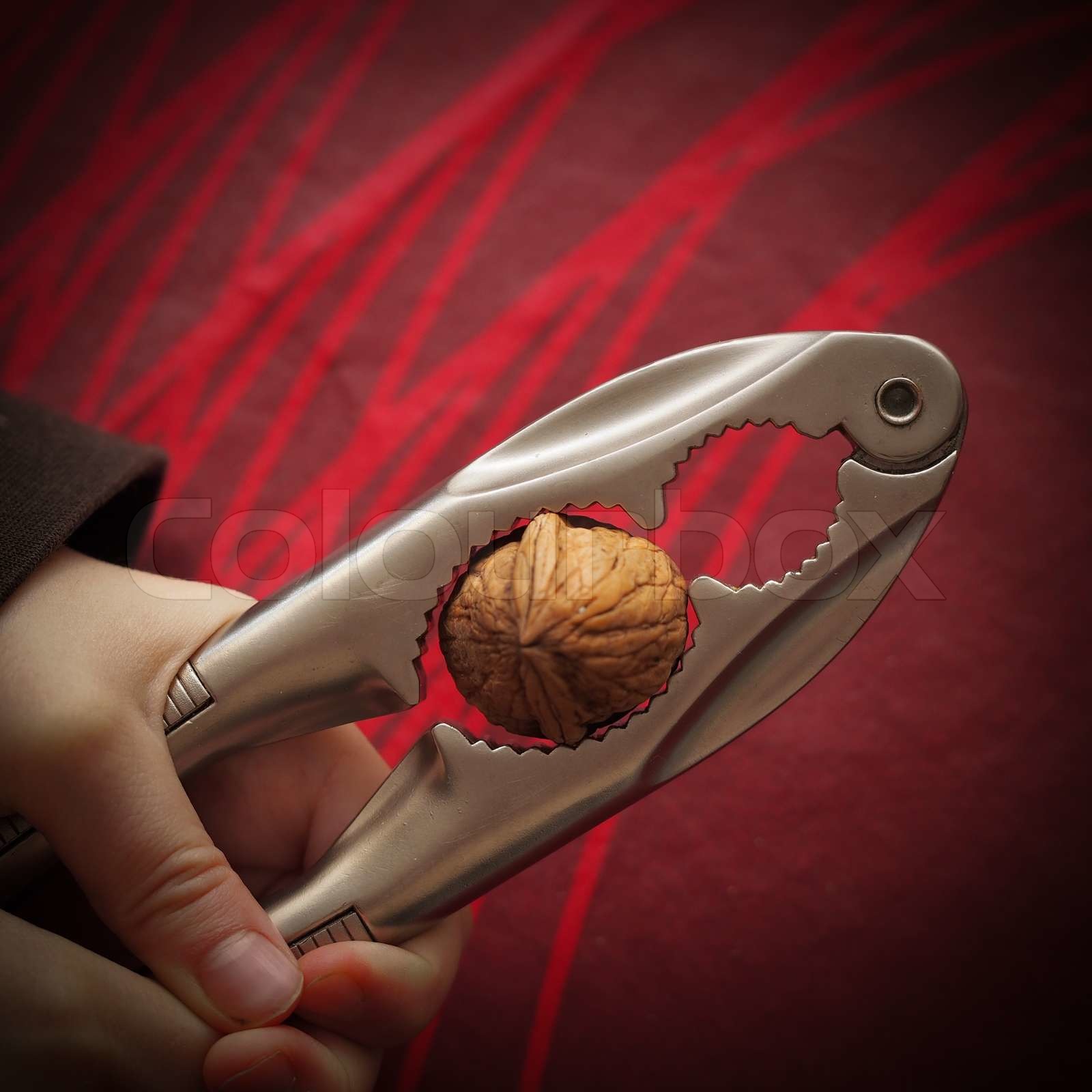 Cracking the Nut | Stock image | Colourbox