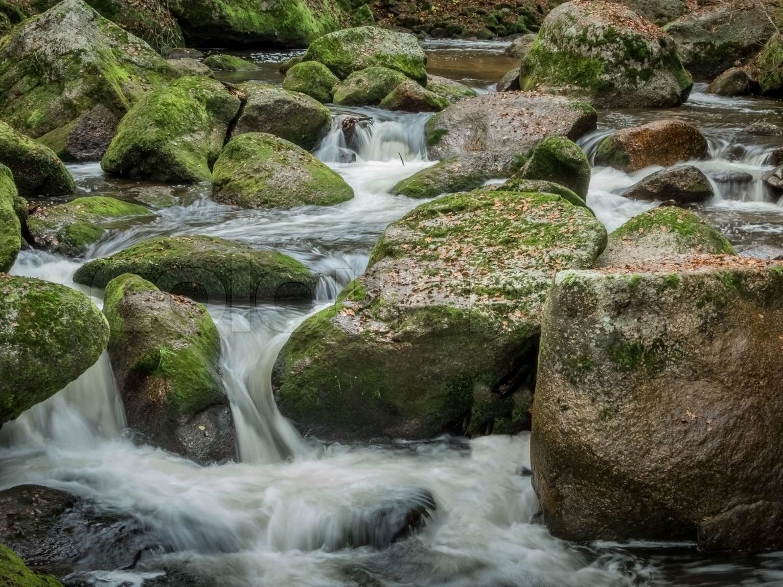 creek with running water | Stock image | Colourbox