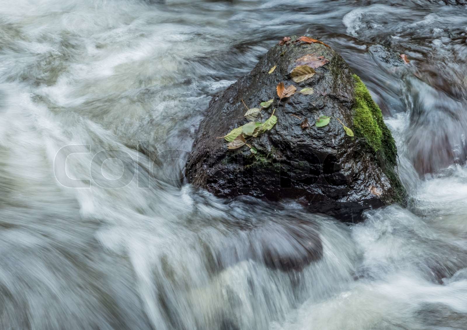 creek with running water | Stock image | Colourbox
