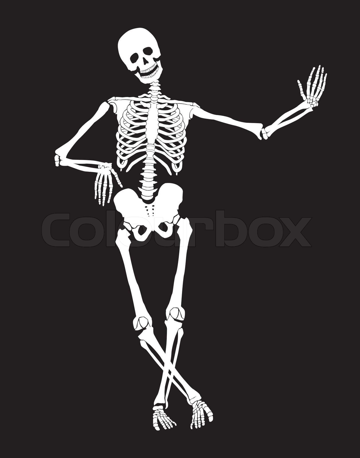 Skeleton | Stock vector | Colourbox
