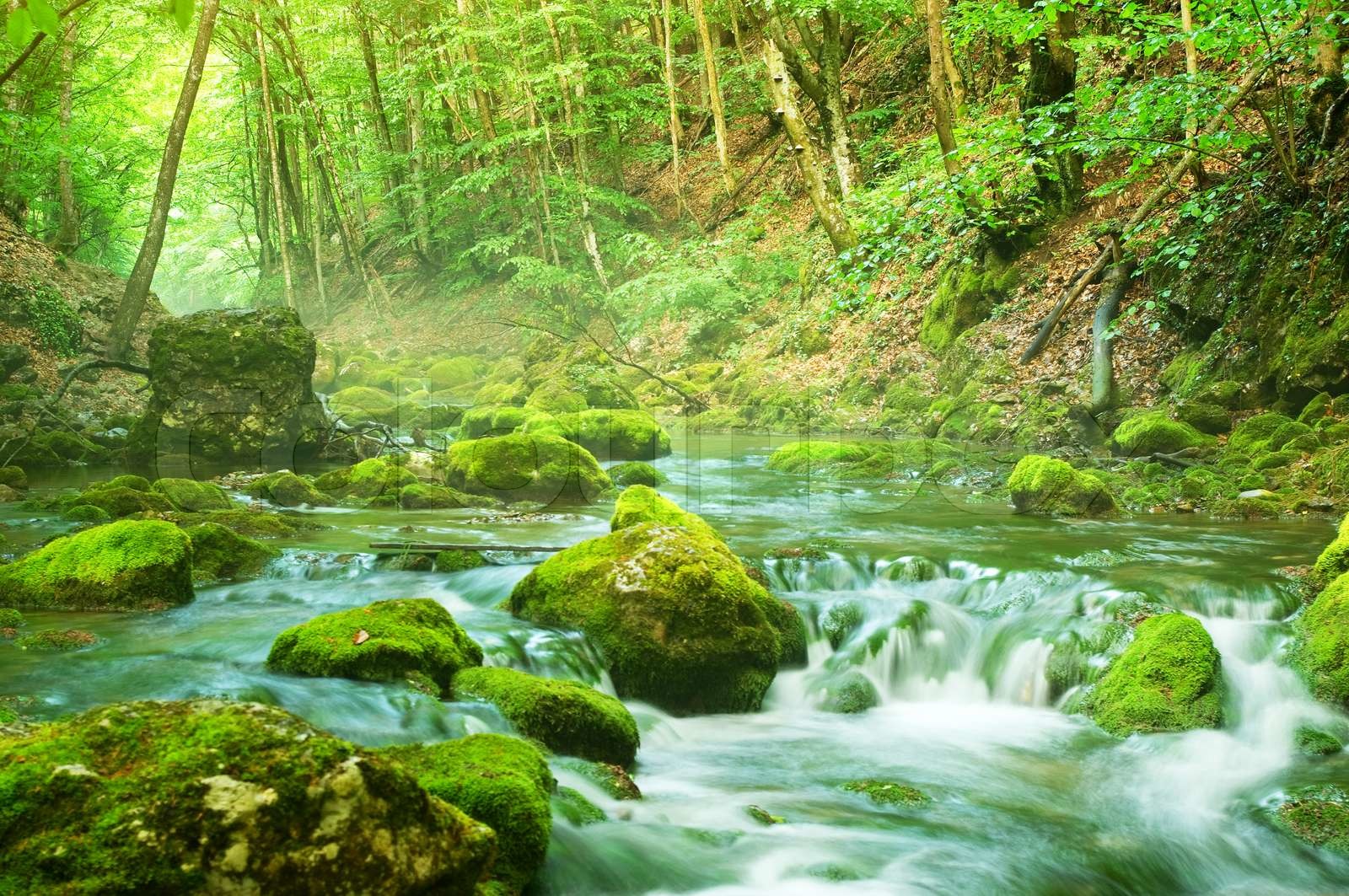 River deep in mountain forest. | Stock image | Colourbox