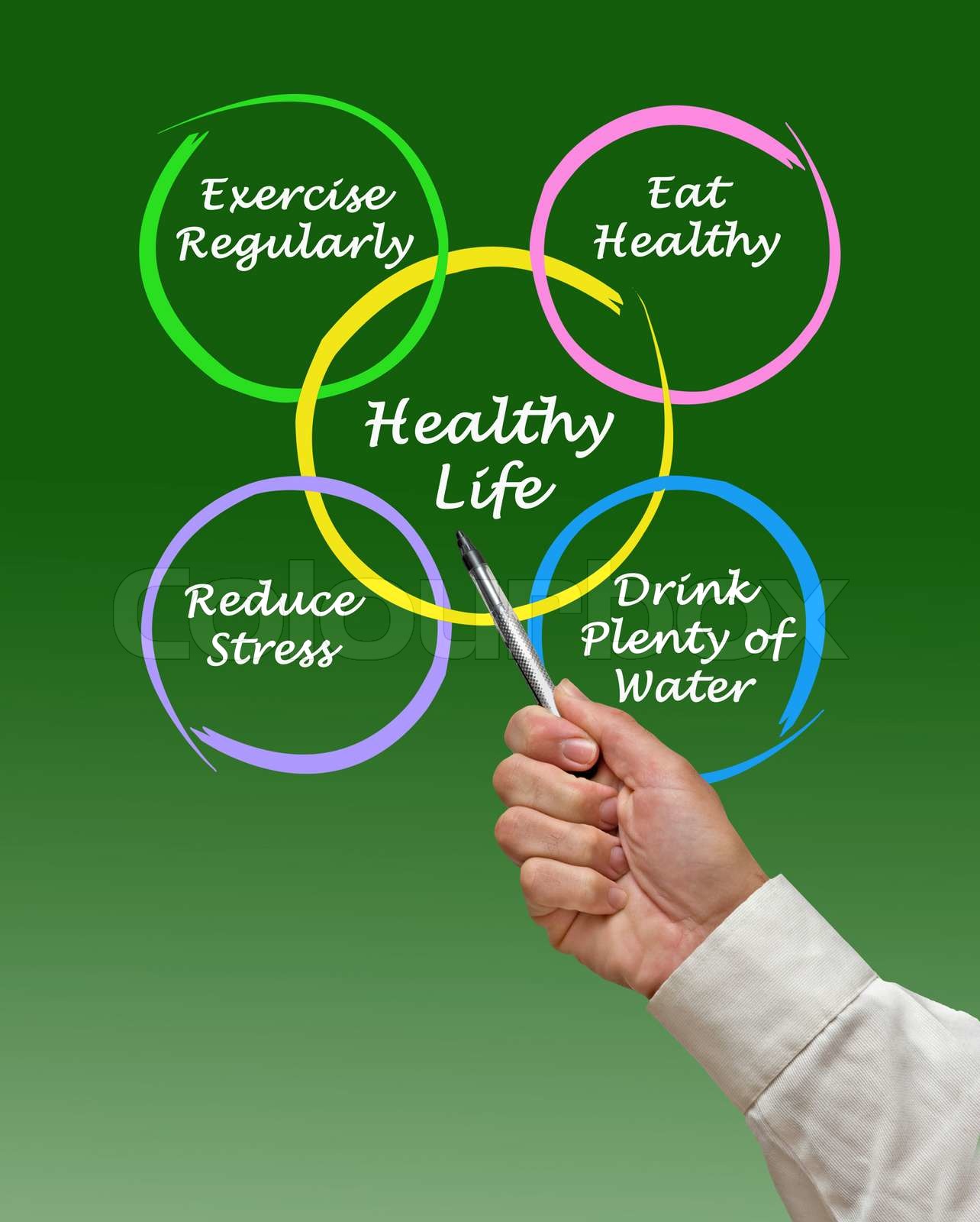 Diagram of healthy life | Stock image | Colourbox