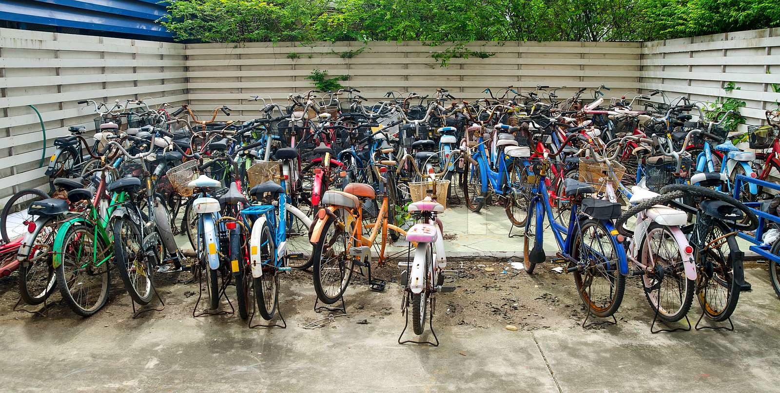 All bicycle | Stock image | Colourbox