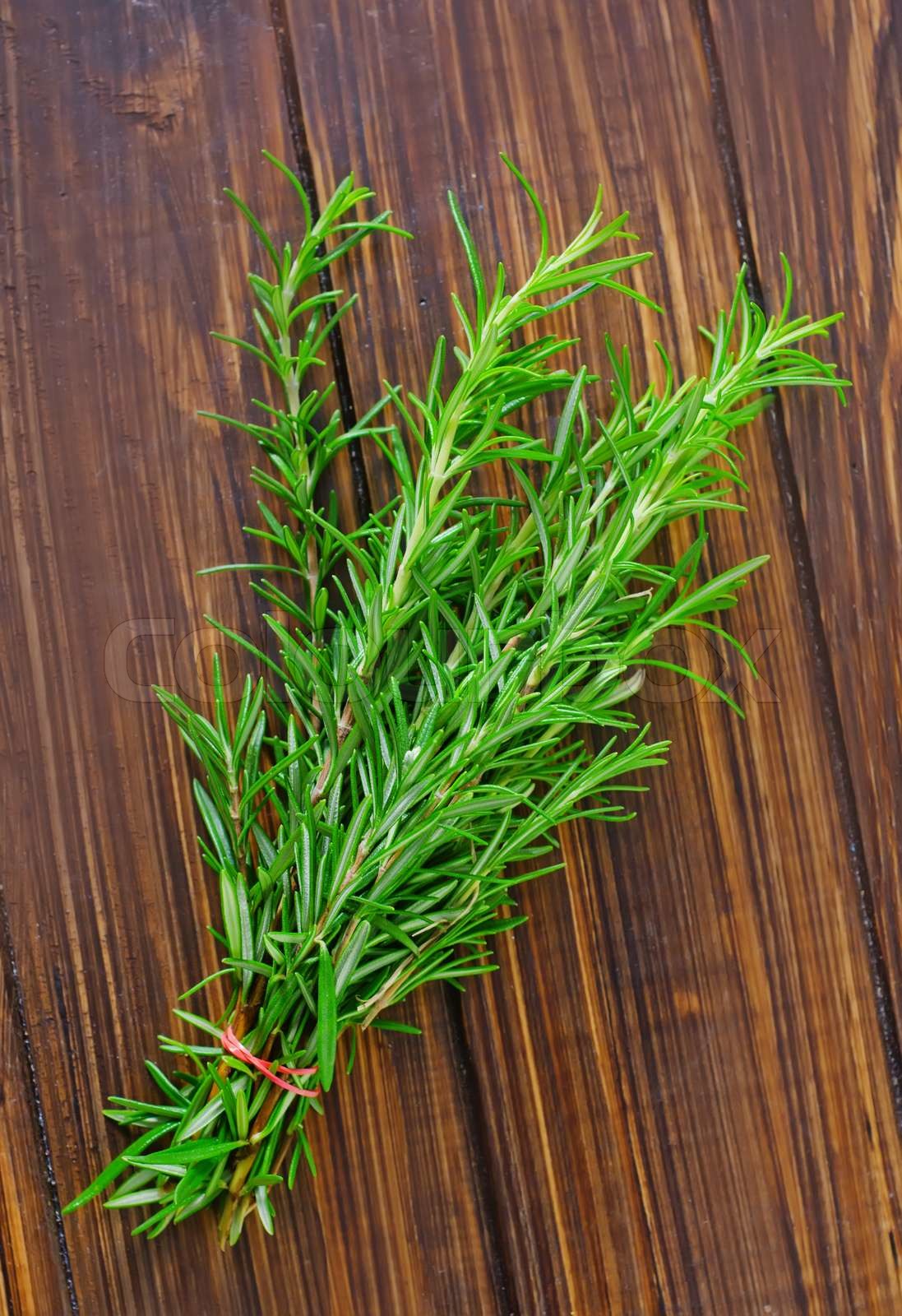 rosemary | Stock image | Colourbox
