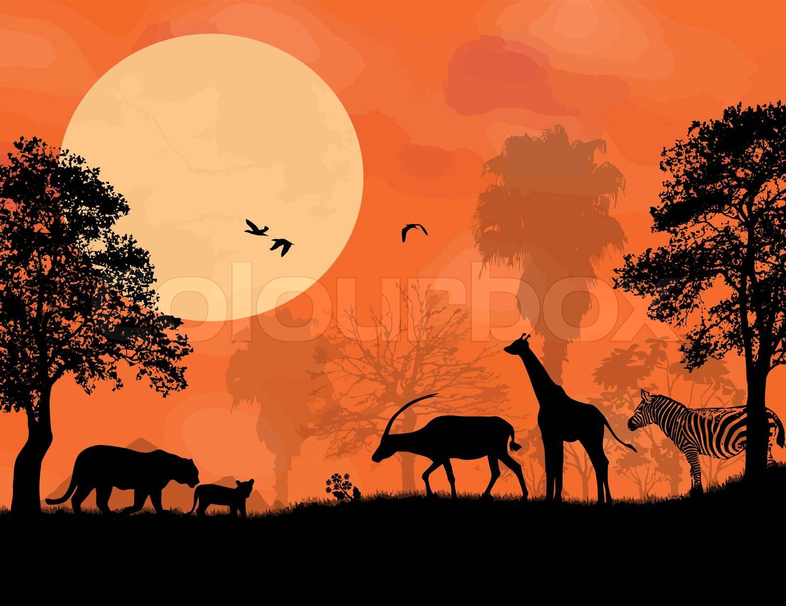 Sunset Safari | Stock vector | Colourbox