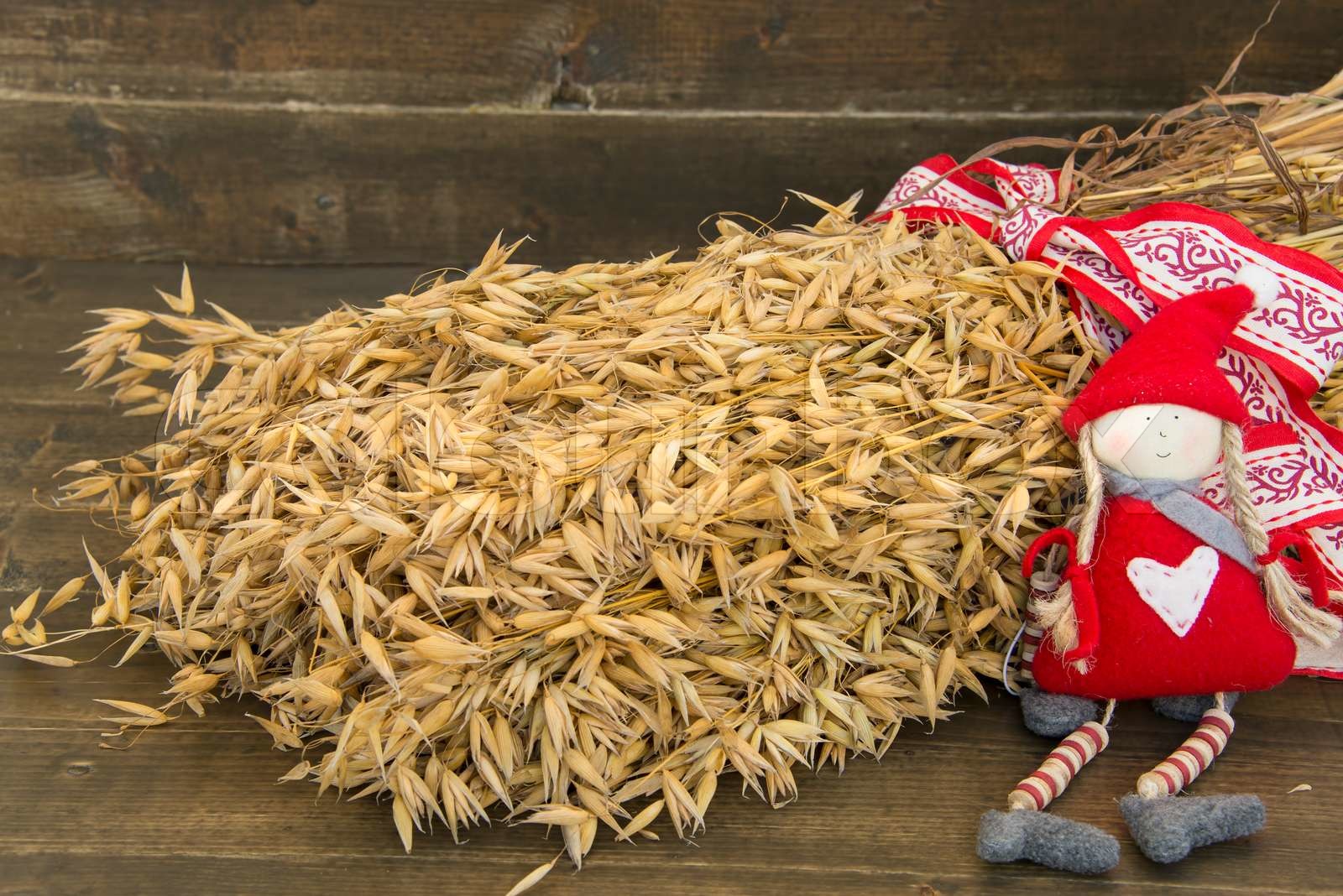 Sheaf of oats | Stock image | Colourbox