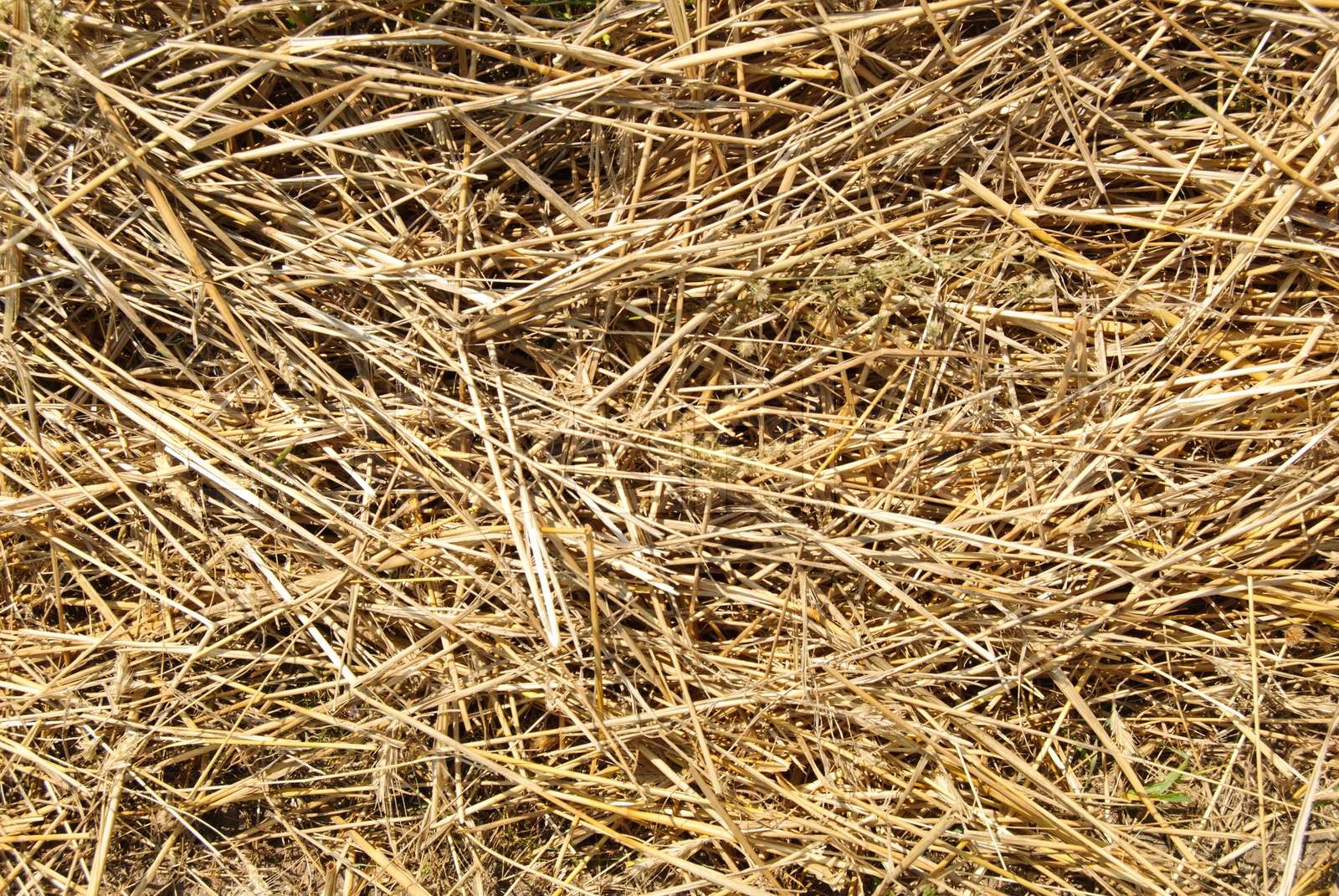 Heu Stroh Stapel Textur, Landwirtschaft Hintergrund hautnah | Stock ...