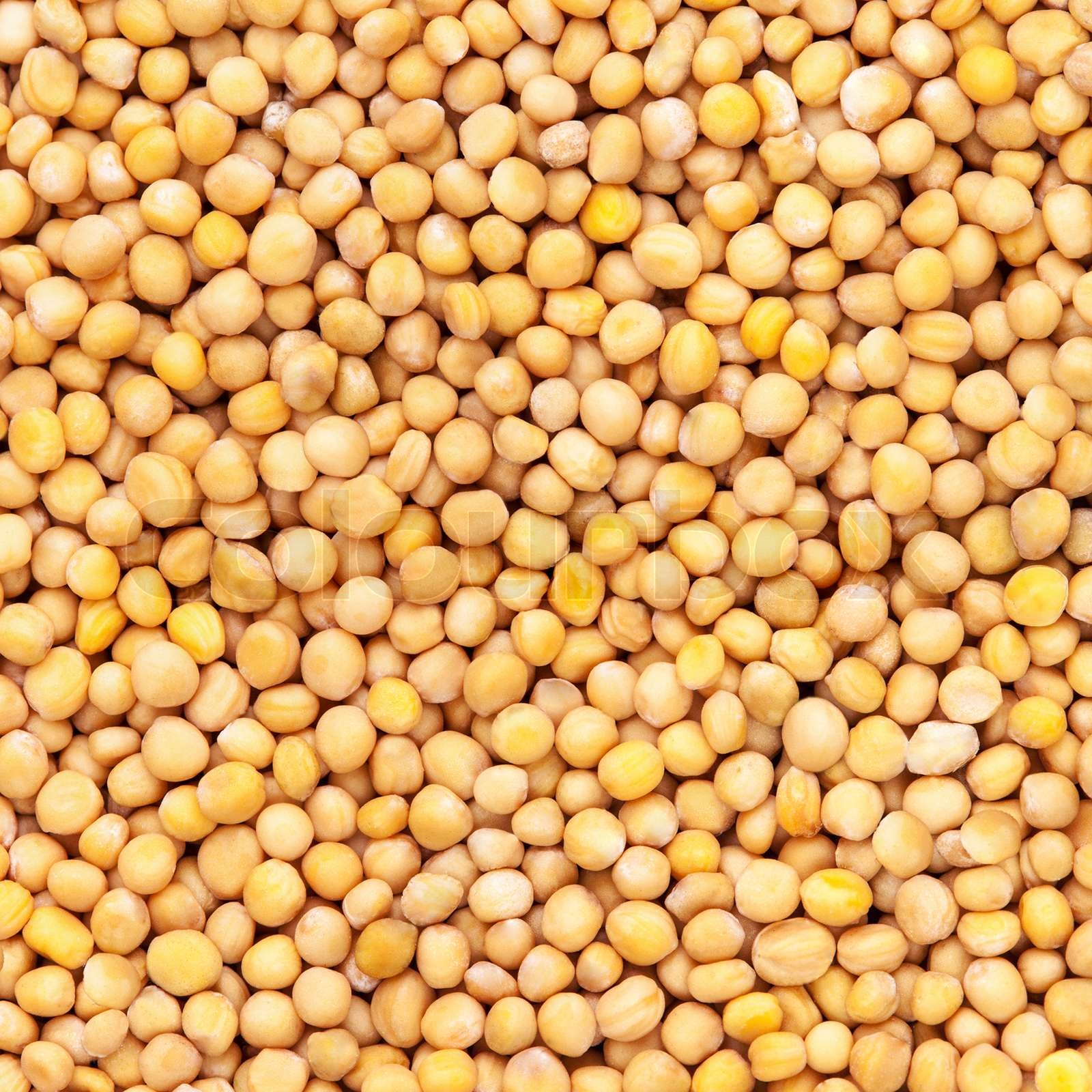 Gelbe Senfkörner | Stock Bild | Colourbox