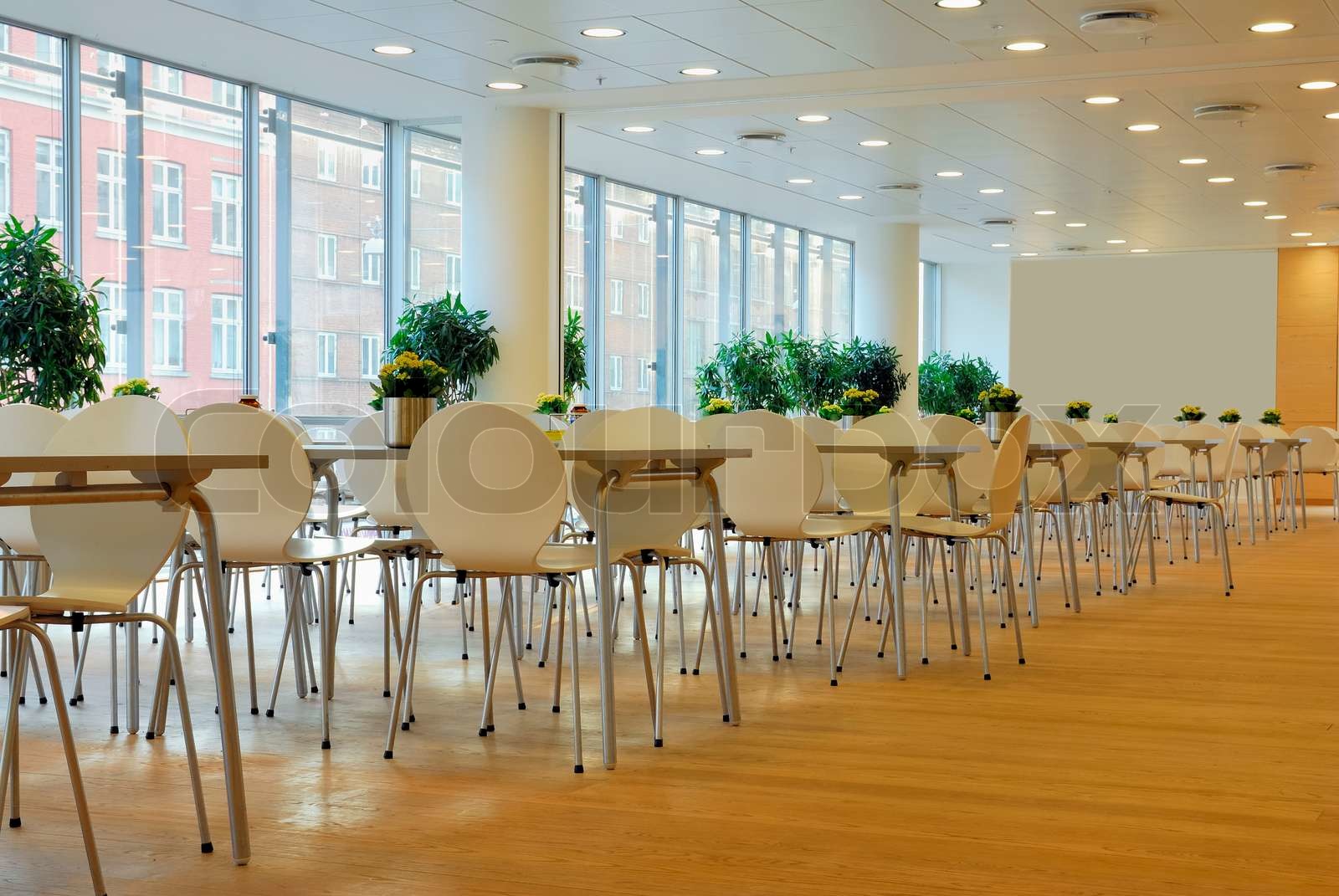 Cafeteria interior | Stock image | Colourbox