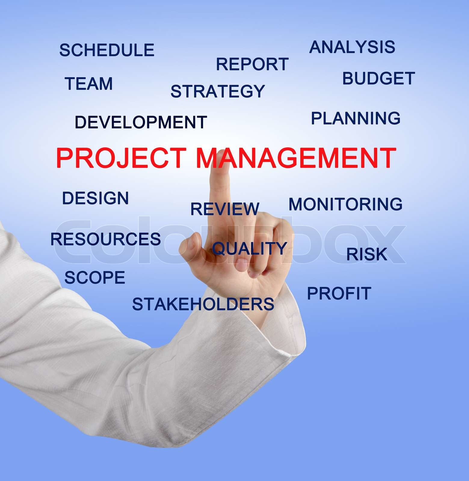 Project leader | Stock image | Colourbox