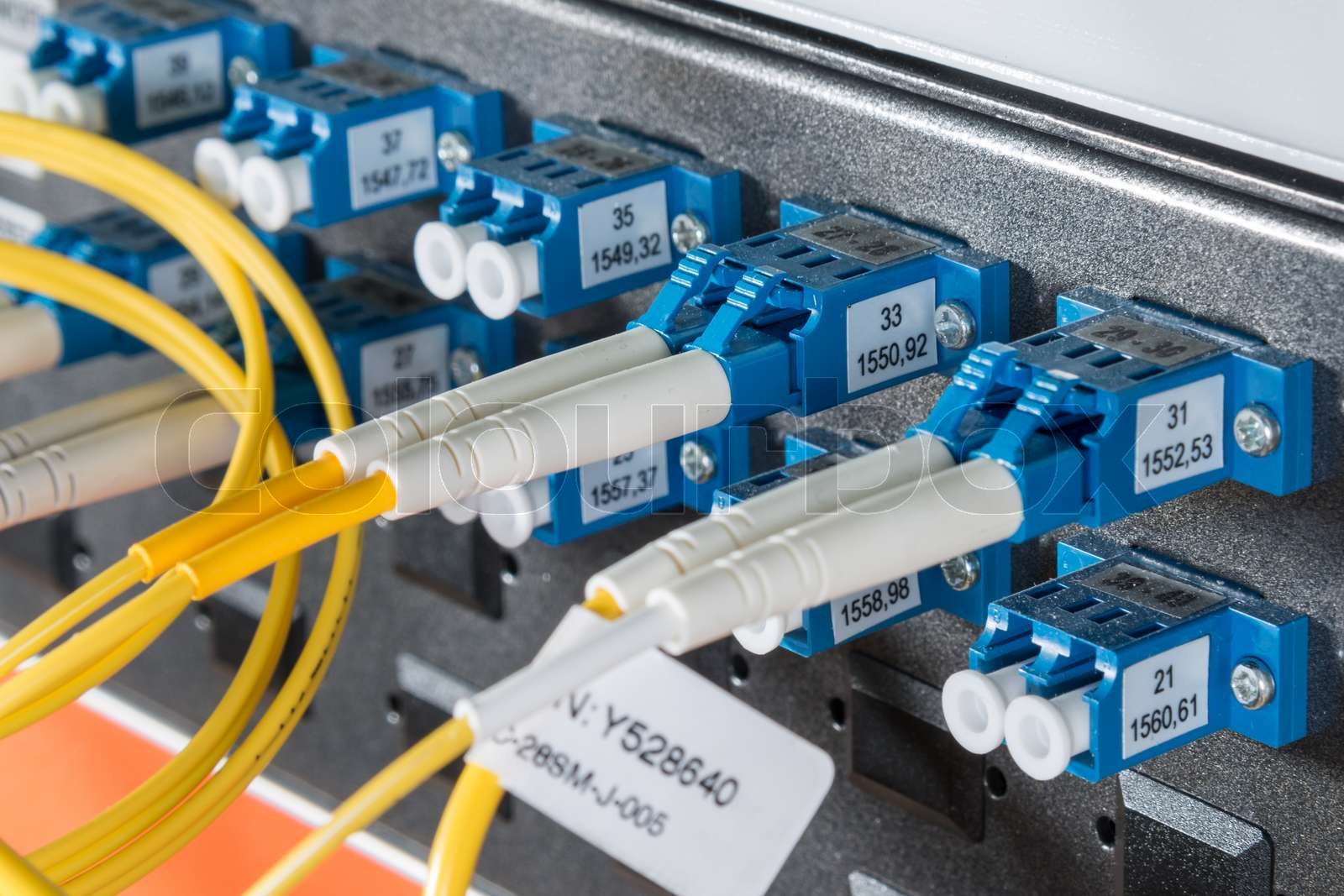 fiber network server | Stock image | Colourbox