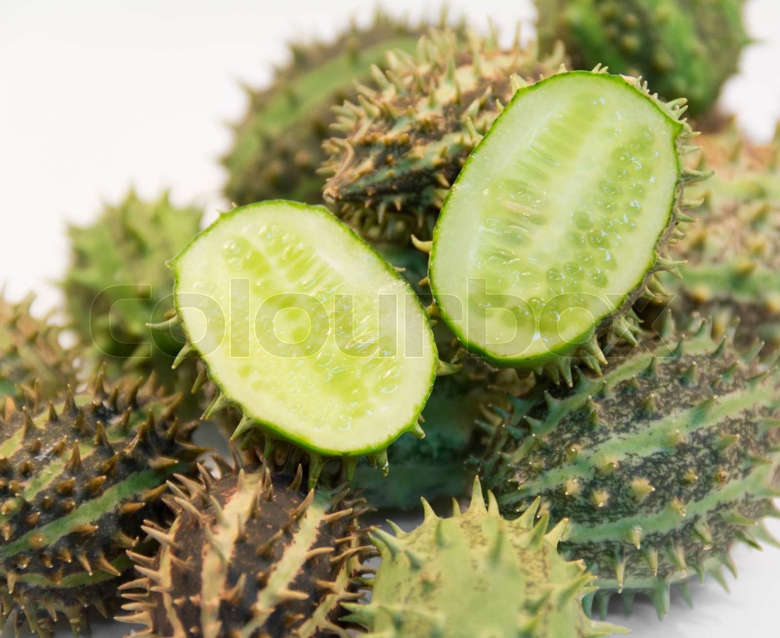 prickly cucumber fruits | Stock image | Colourbox