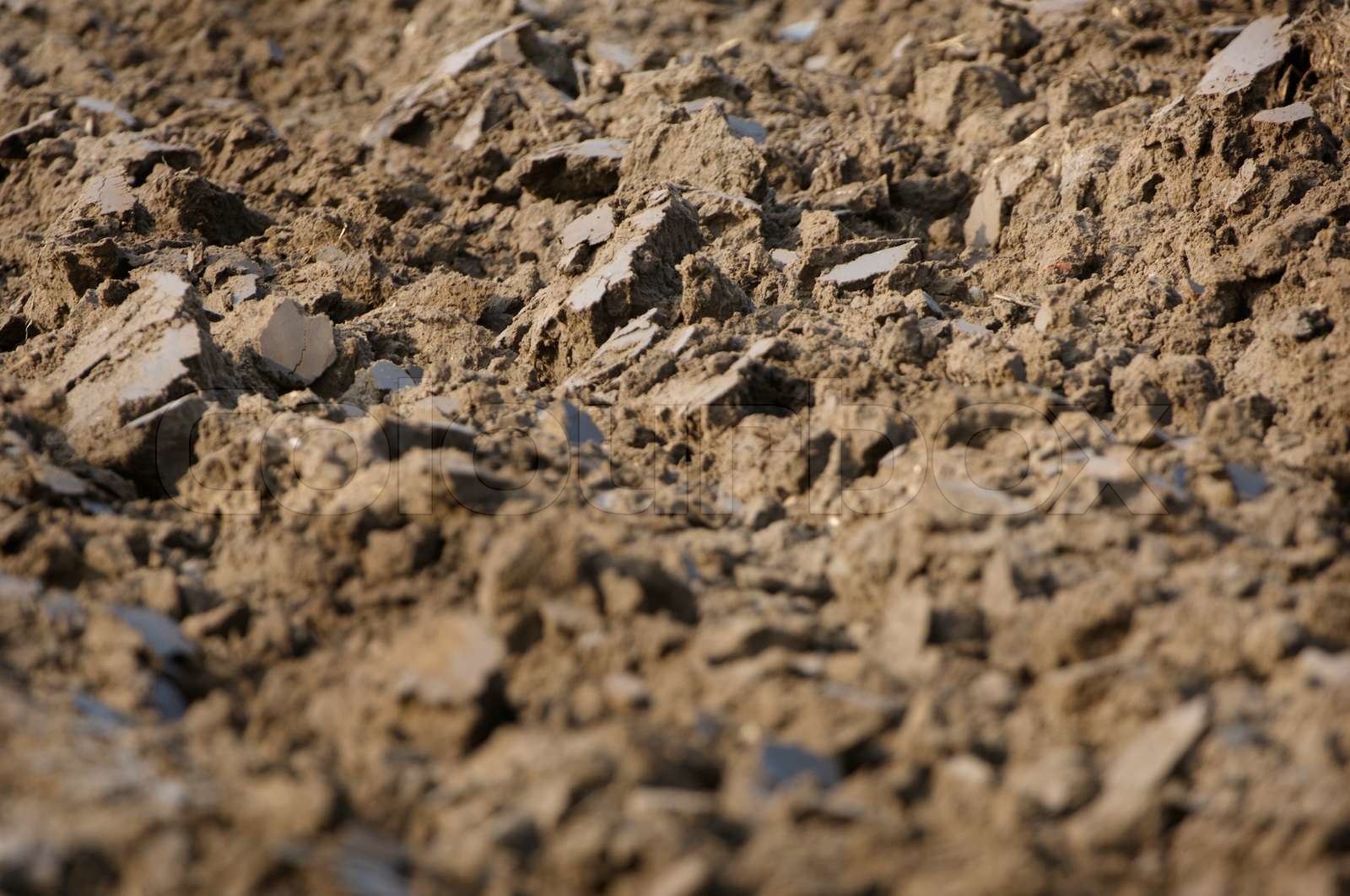 Close-up image of soil | Stock image | Colourbox