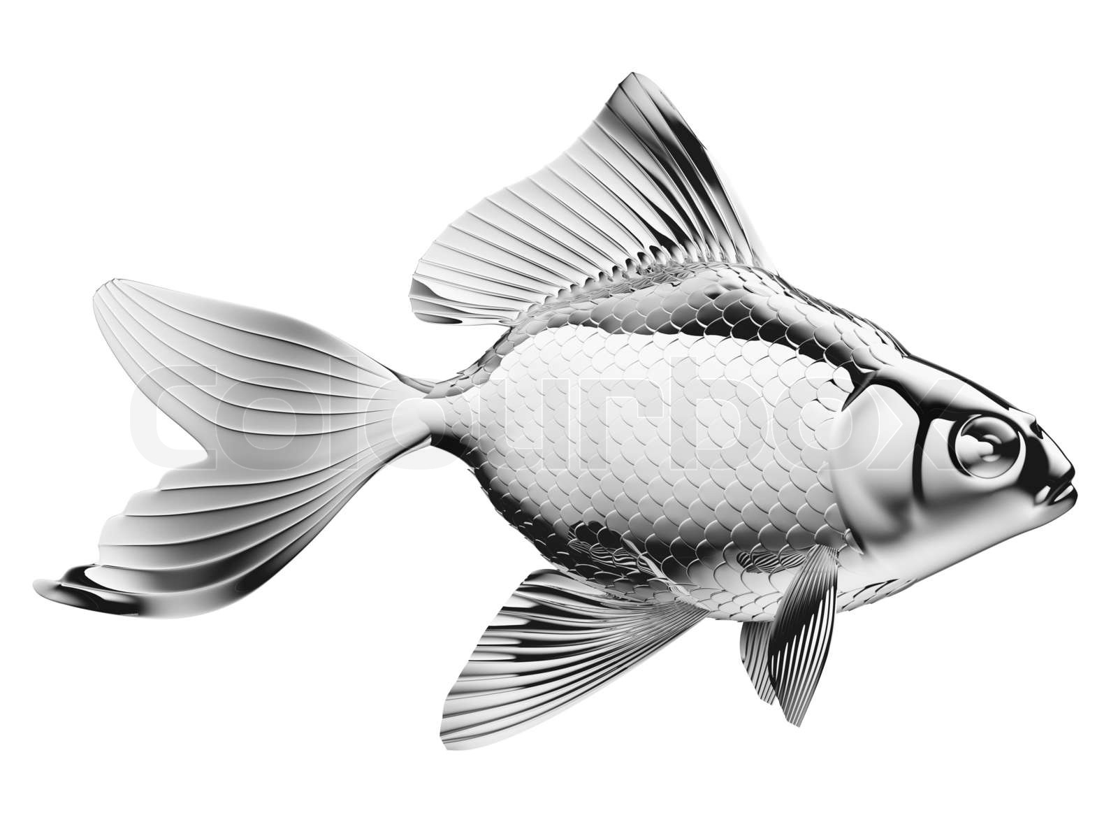 Silver fish with fins and scales isolated | Stock image | Colourbox