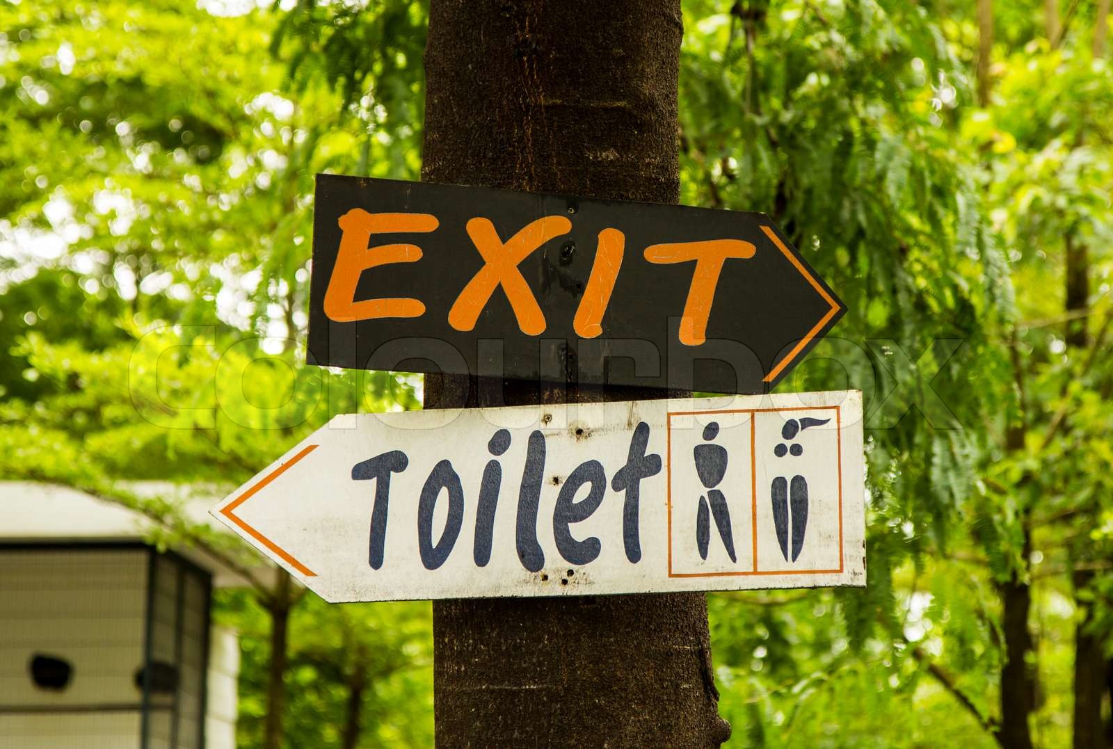 Toilet and exit. | Stock image | Colourbox