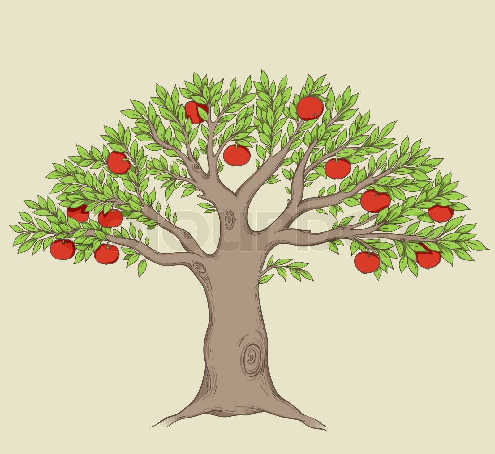 baum, apfel, dekorativ | Stock-Vektor | Colourbox