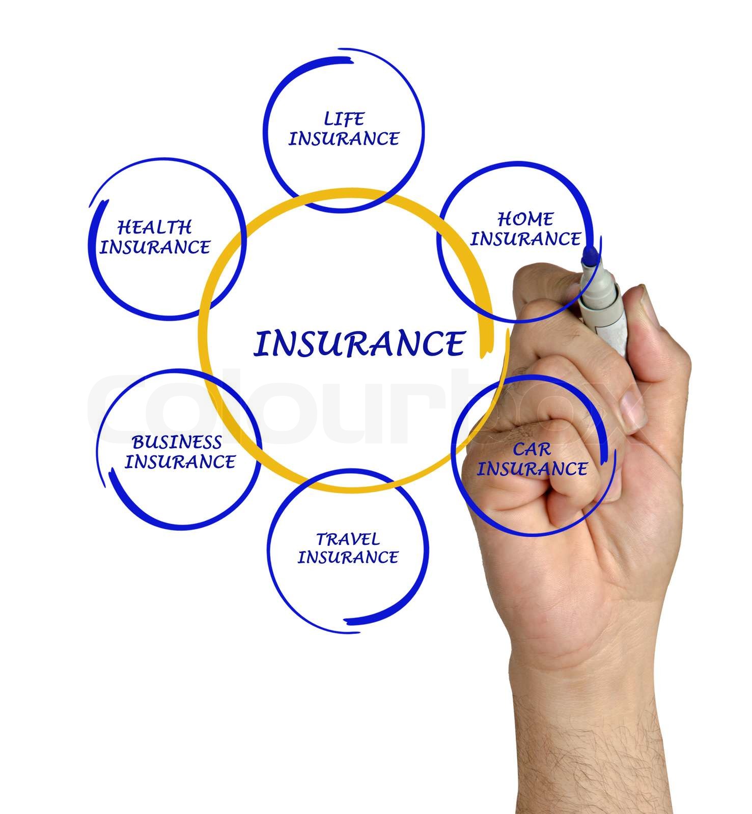 presenting insurance diagram | Stock image | Colourbox