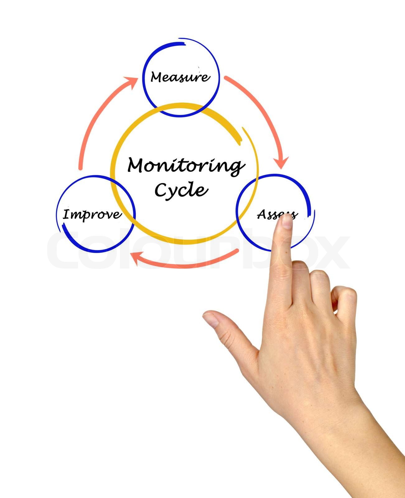 Monitoring cycle | Stock image | Colourbox