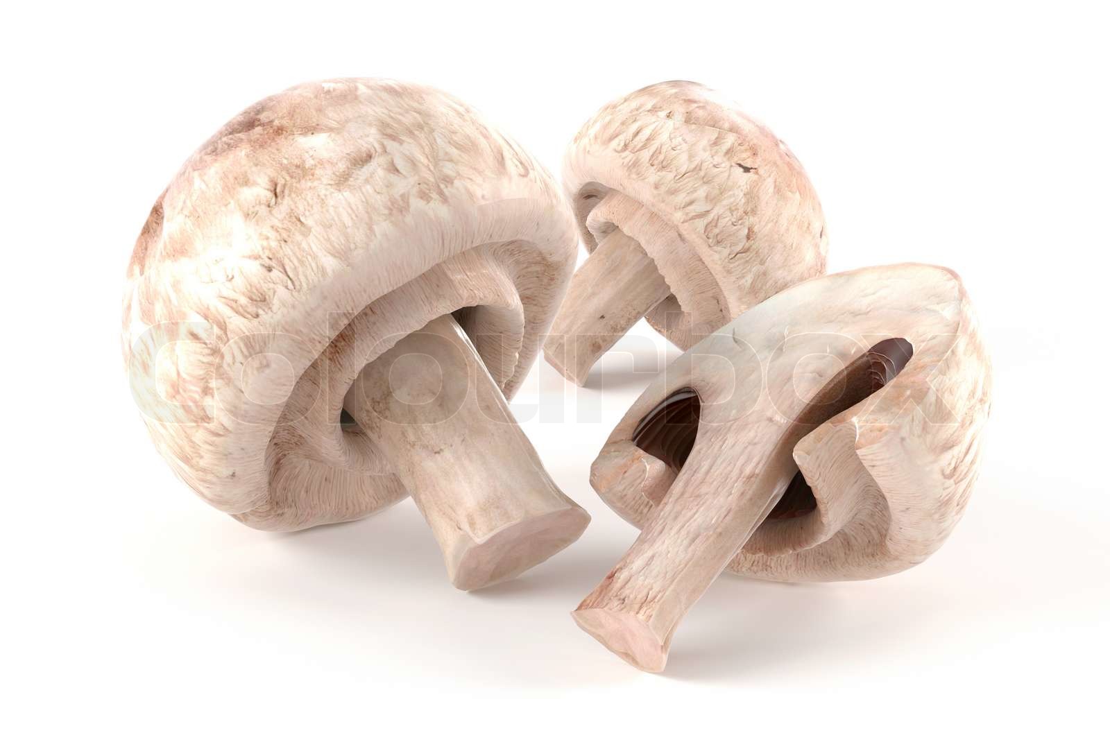 fresh mushroom champignon isolated | Stock image | Colourbox