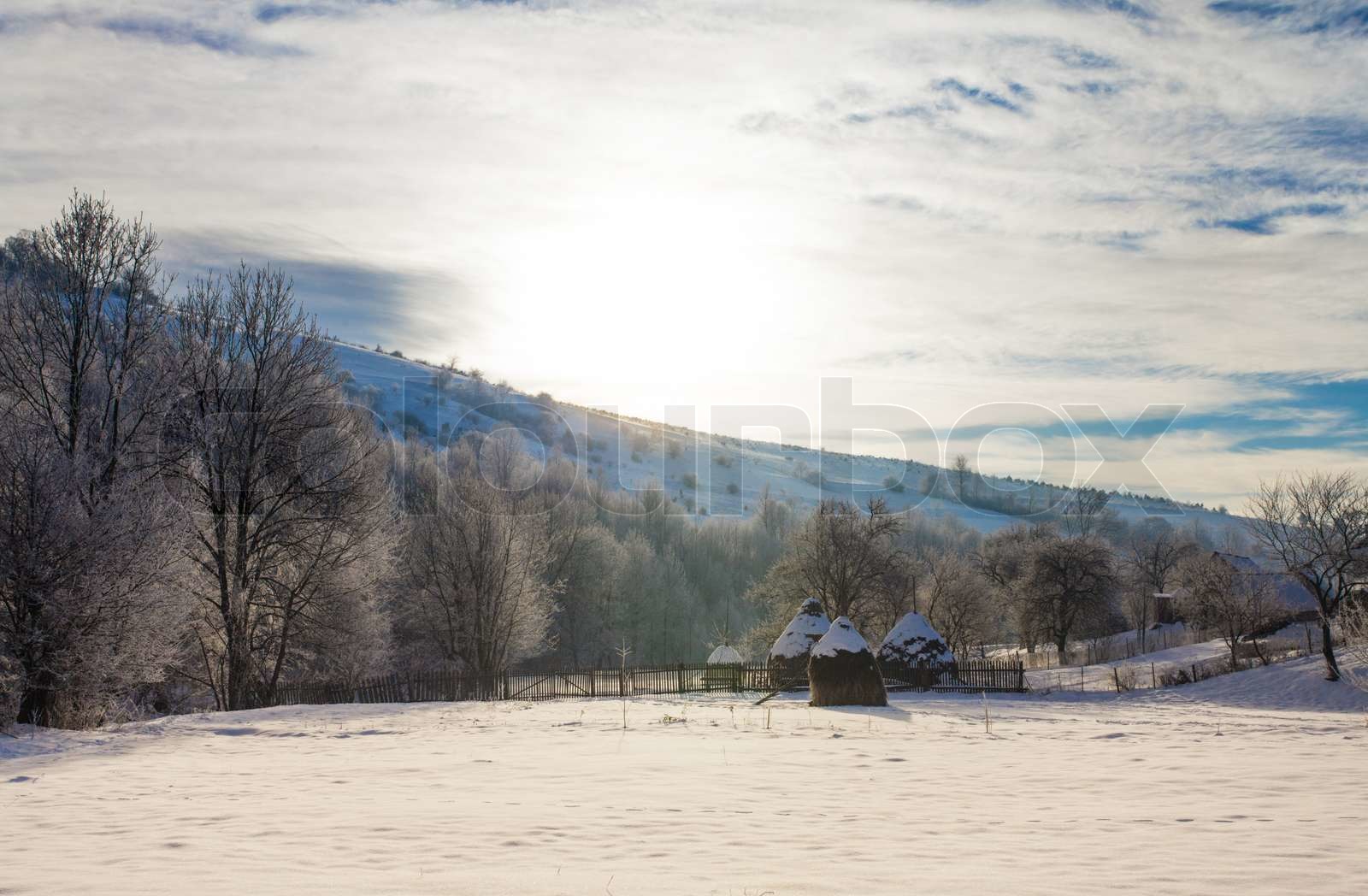 Wintre landscape | Stock image | Colourbox