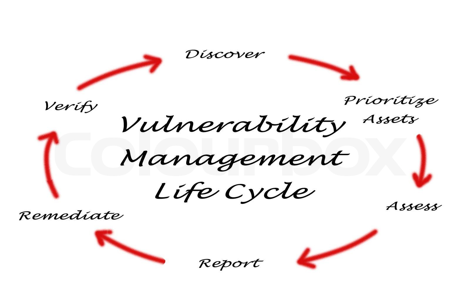 vulneravility management of life cycle | Stock image | Colourbox