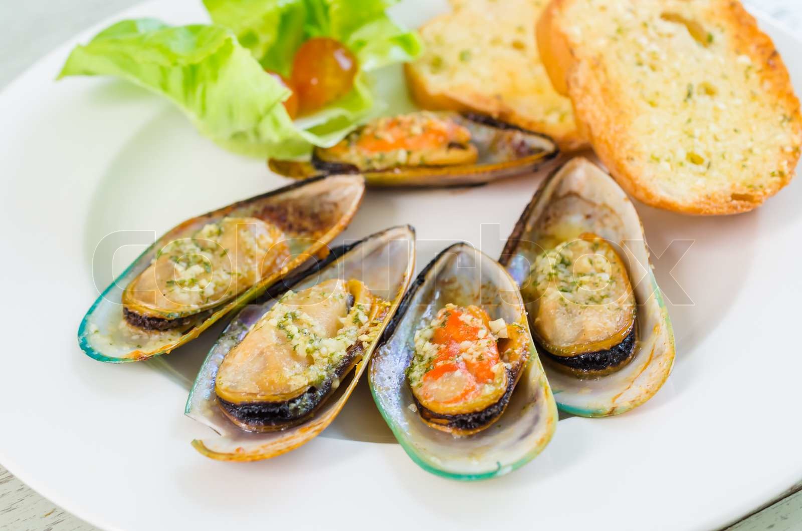 Mussel | Stock image | Colourbox