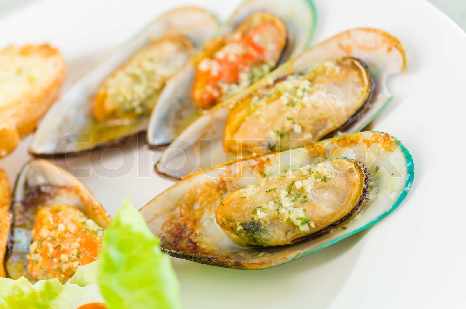 Mussel | Stock image | Colourbox