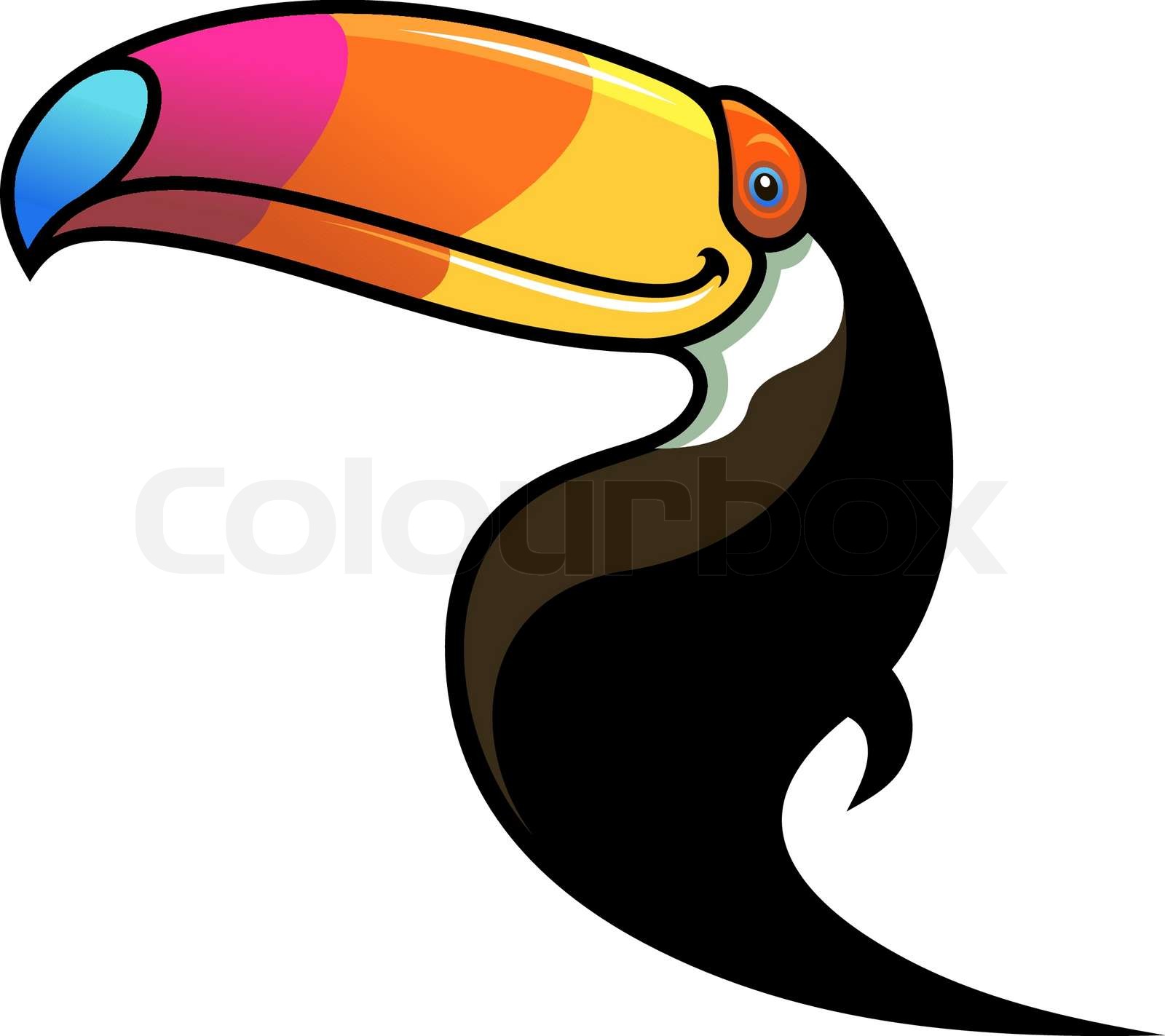 Toucan with a colourful beak | Stock vector | Colourbox