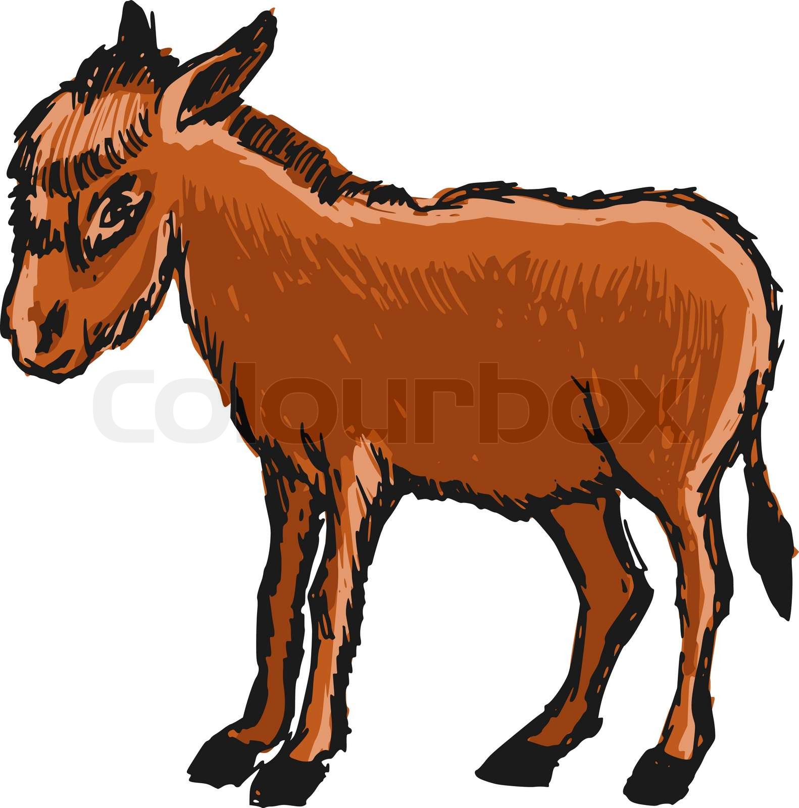 donkey | Stock vector | Colourbox