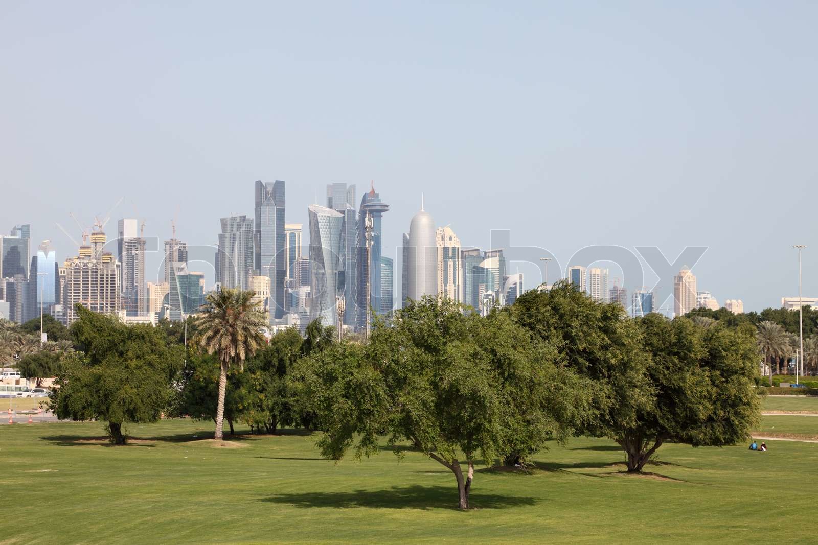 Green park in Doha, Qatar, Middle East | Stock image | Colourbox