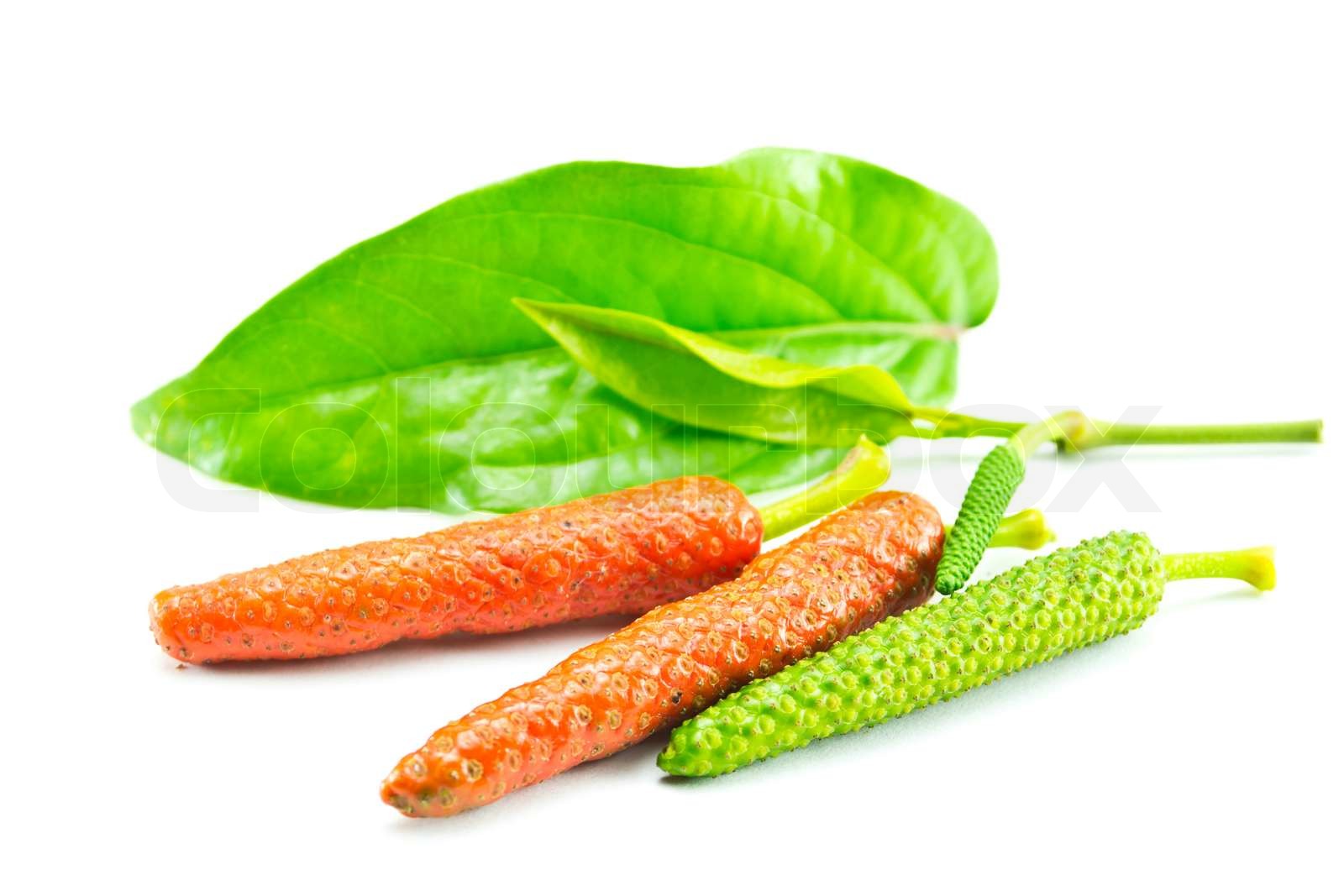 Long pepper isolated on white | Stock image | Colourbox
