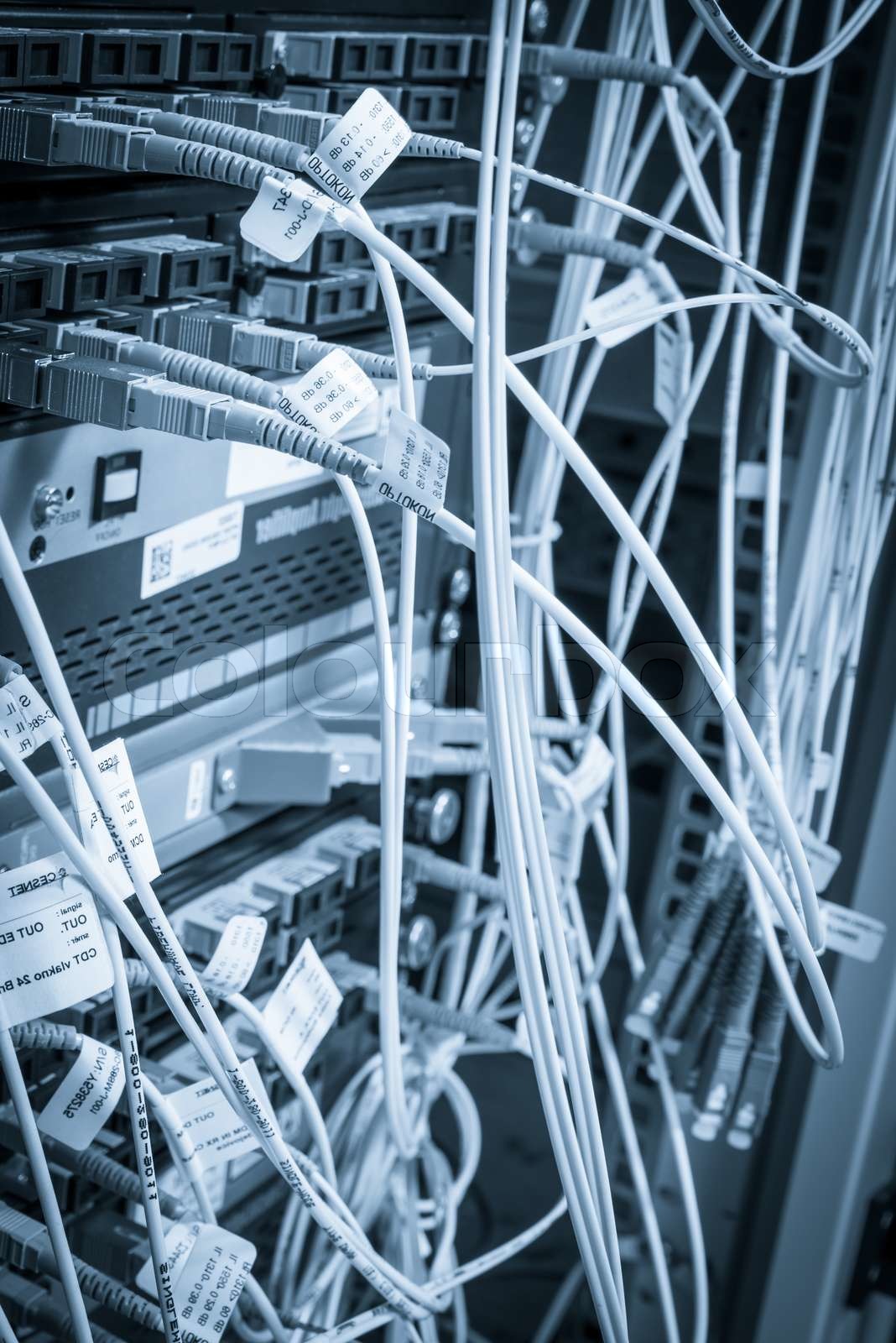fiber network server | Stock image | Colourbox